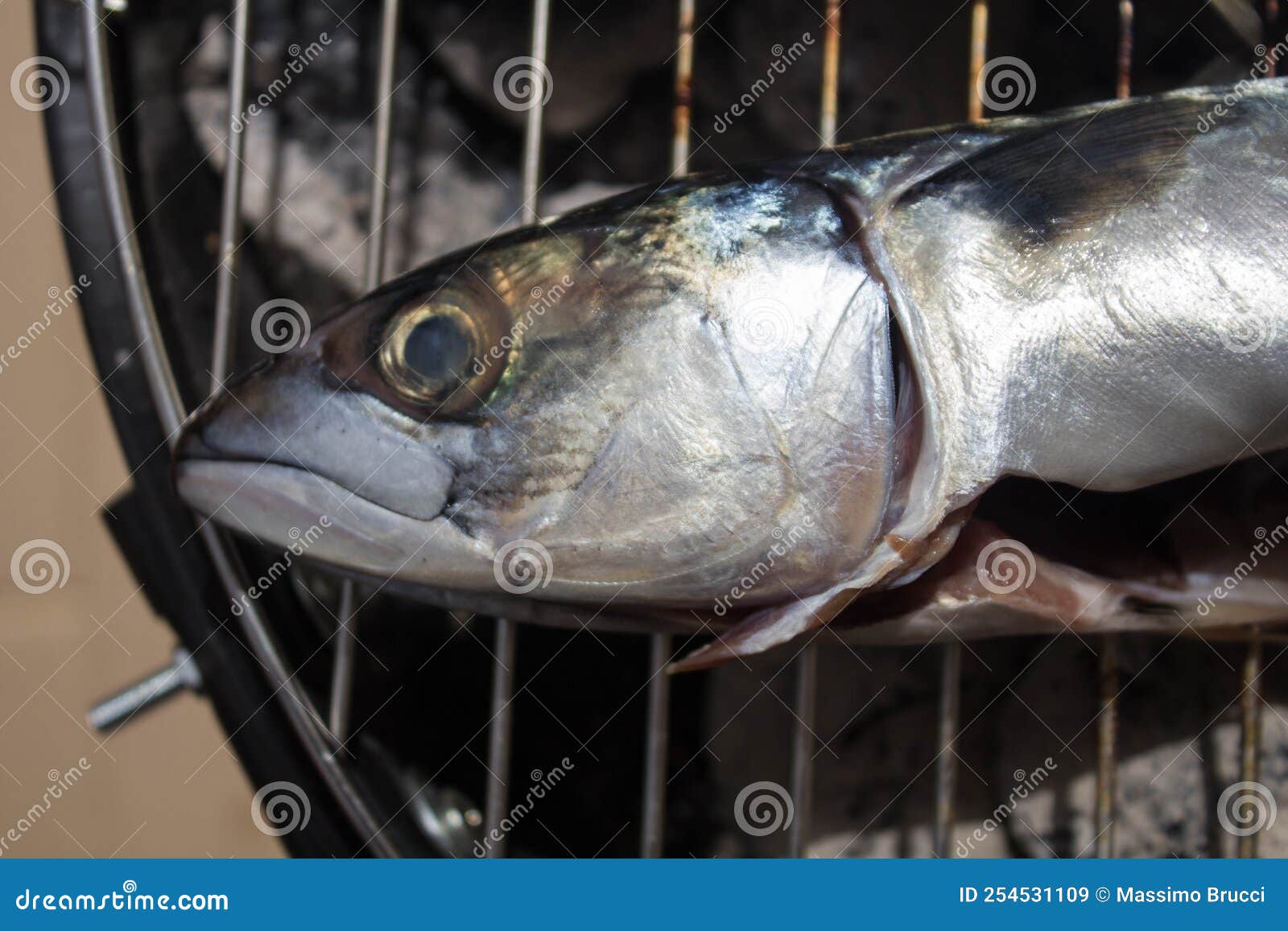 Sea fish on the BBQ grill stock image. Image of bread - 254531109