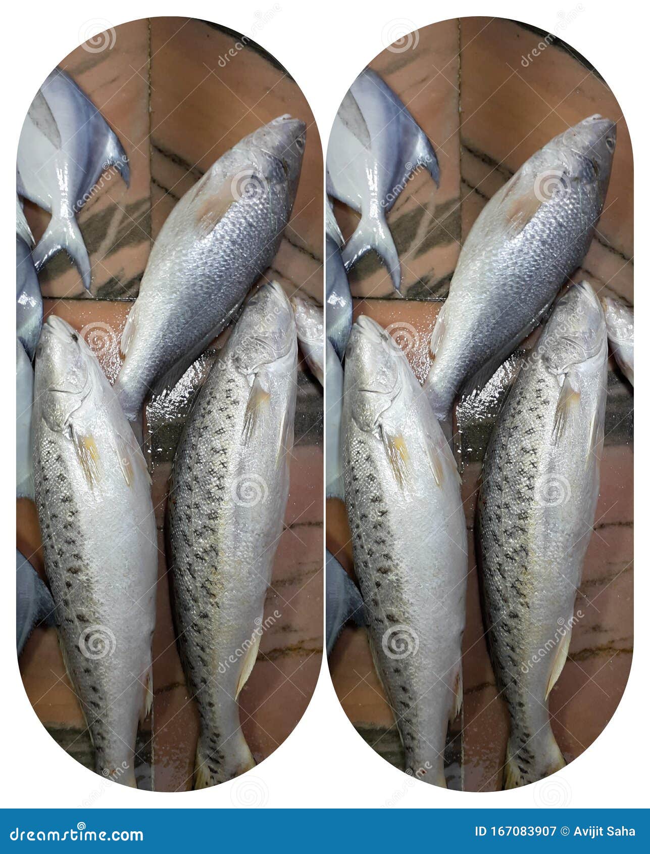 Digha Fish Market,sea Fish,India Royalty-Free Stock Image ...