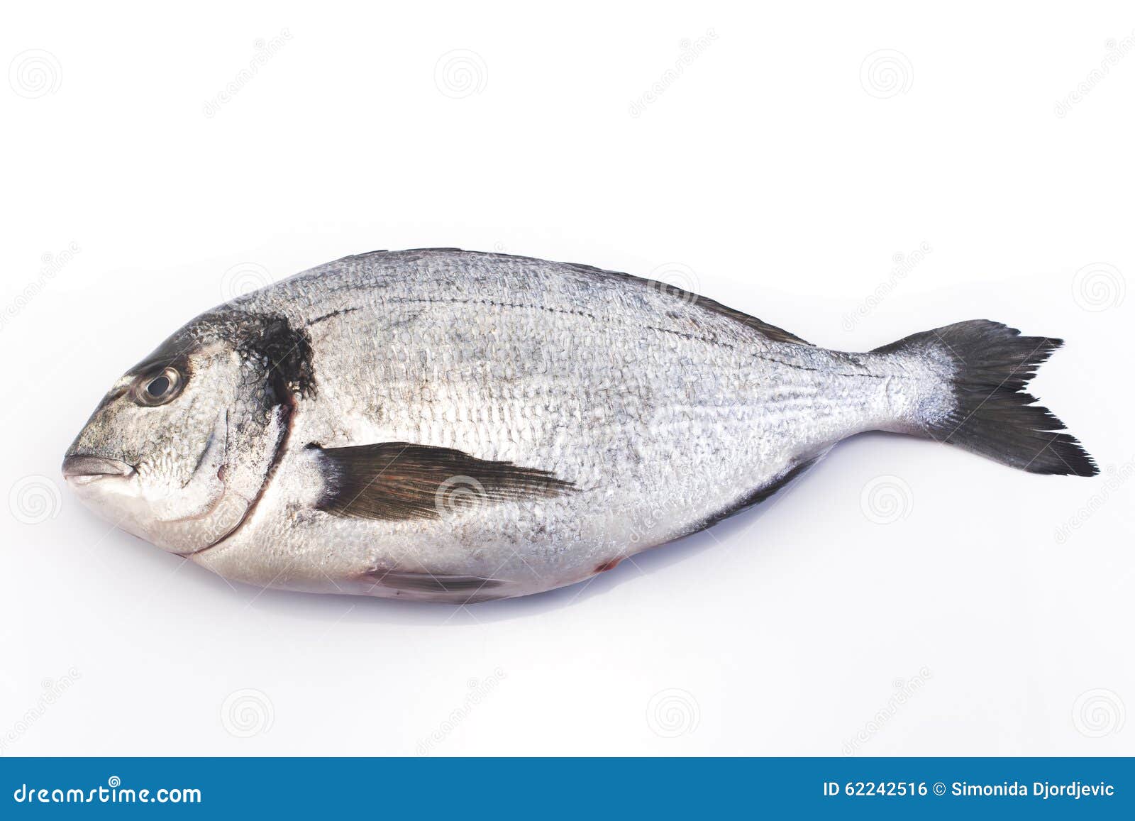 Sea Fish Dorade Isolated on White Stock Photo - Image of diet, lunches ...
