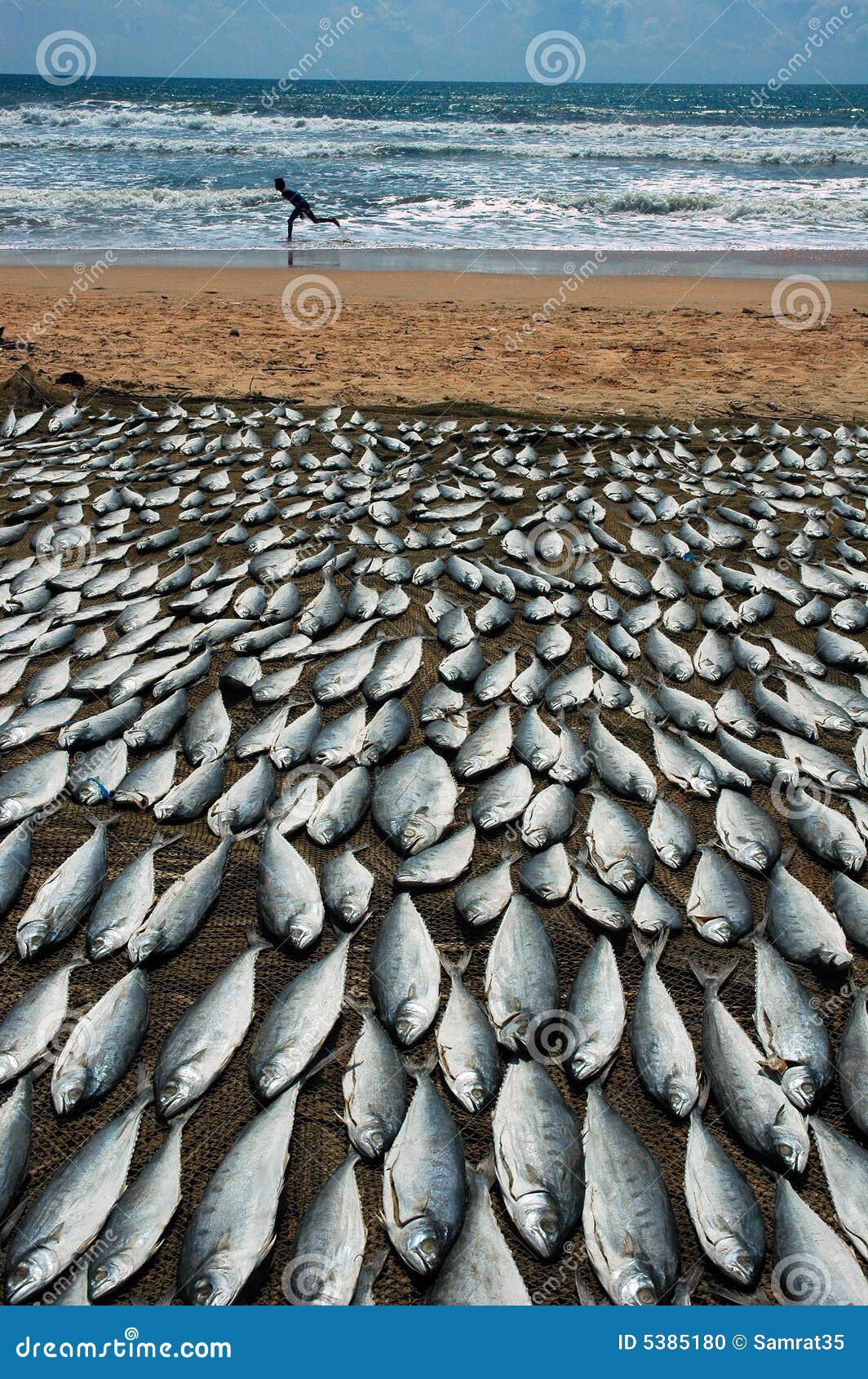 Sea Fish Dried on the Sea Beach. Stock Photo - Image of open, door: 5385180