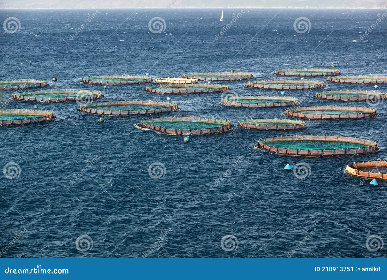 Sea Fish Farm. Artificial Fish Farming in Europe Stock Image - Image of ...