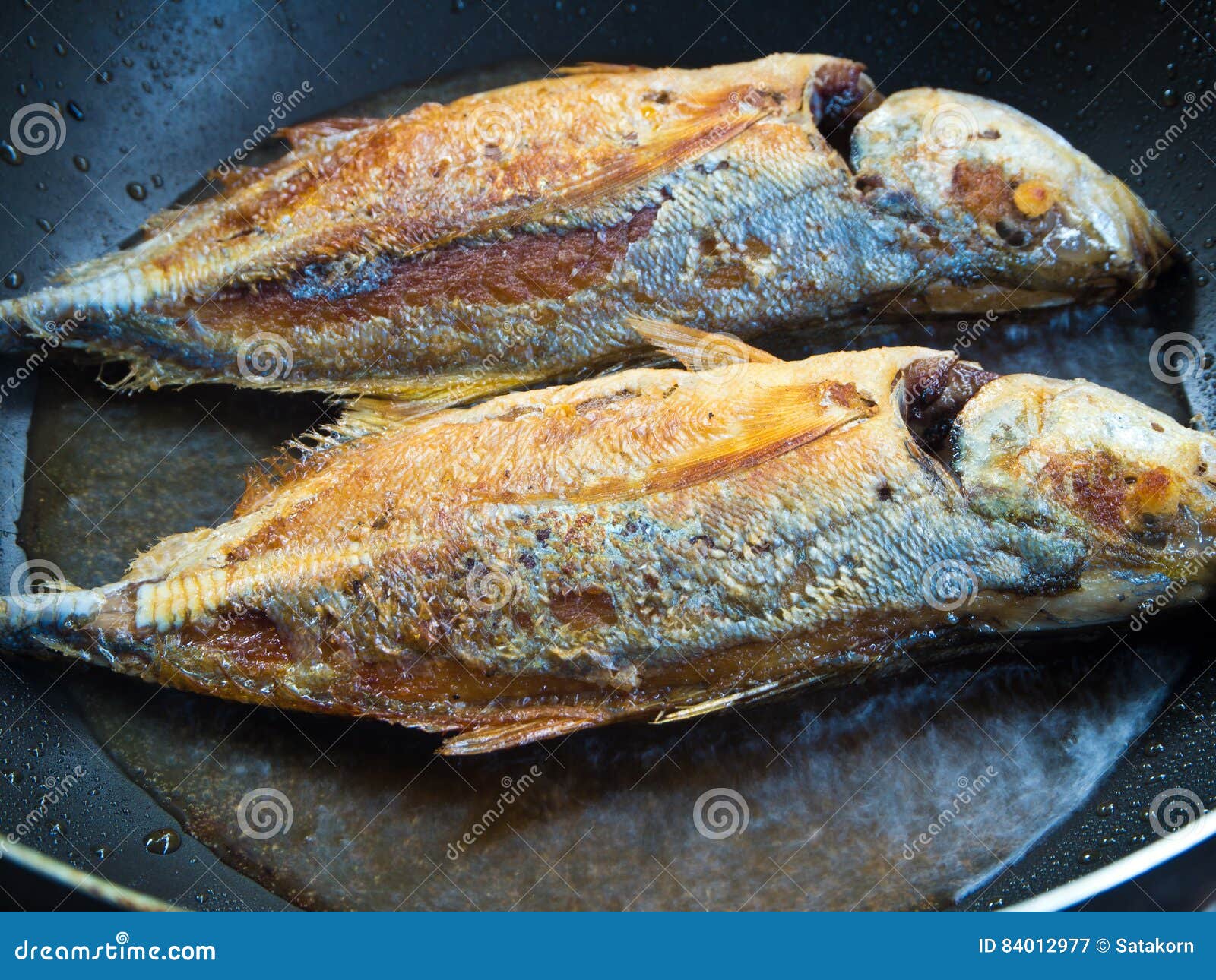 Sea fish frying in a Pan stock image. Image of gourmet - 84012977