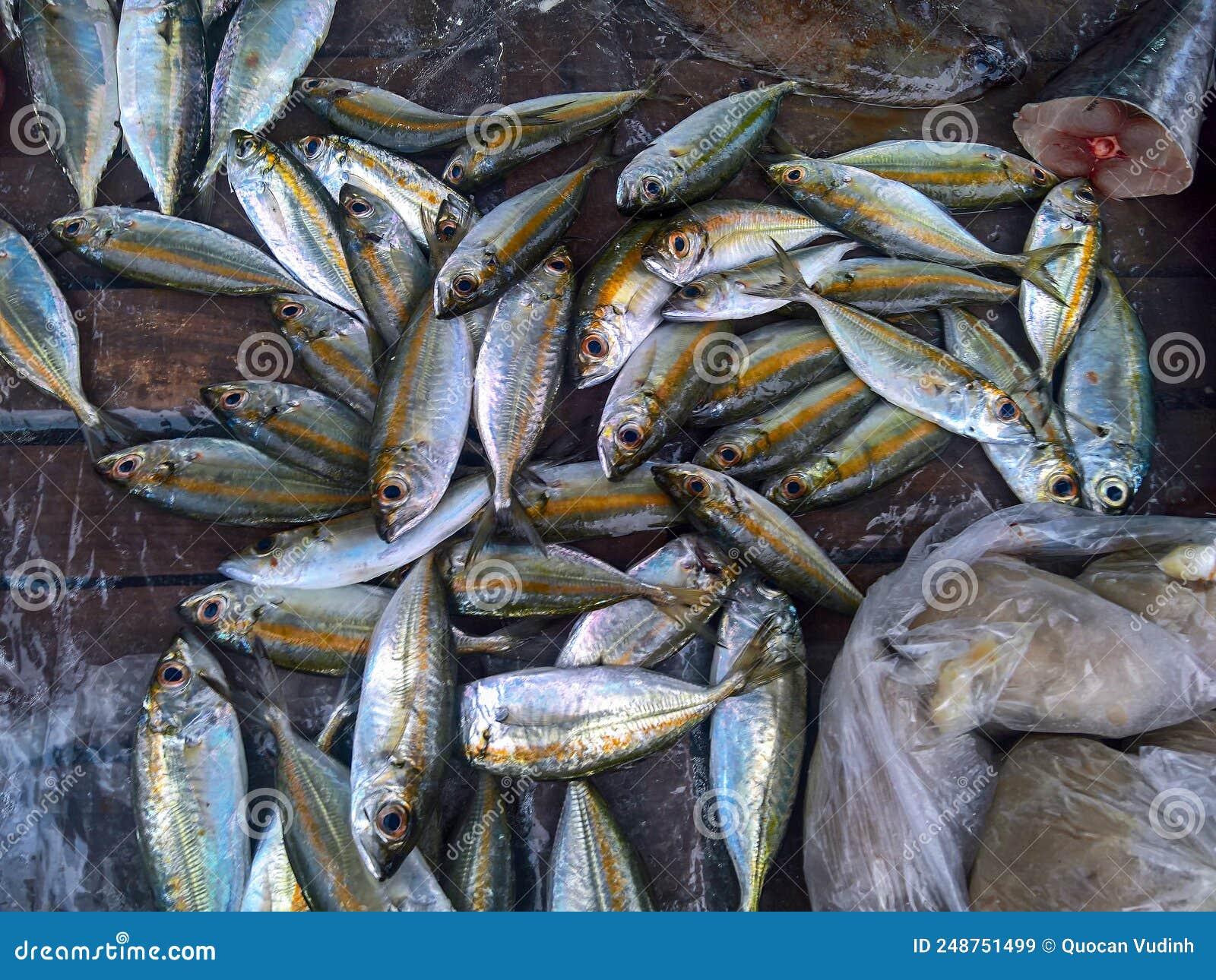 Sea Fish and Seafood on the Shop S Counter, Stock Image - Image of fish ...