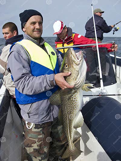 Sea Fisherman with Huge Cod Stock Photo - Image of boat, achievement ...