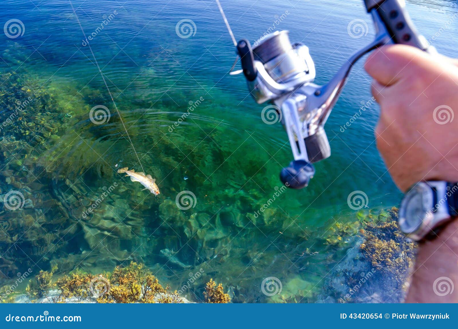 Sea fishing action stock photo. Image of fisherman, line - 43420654