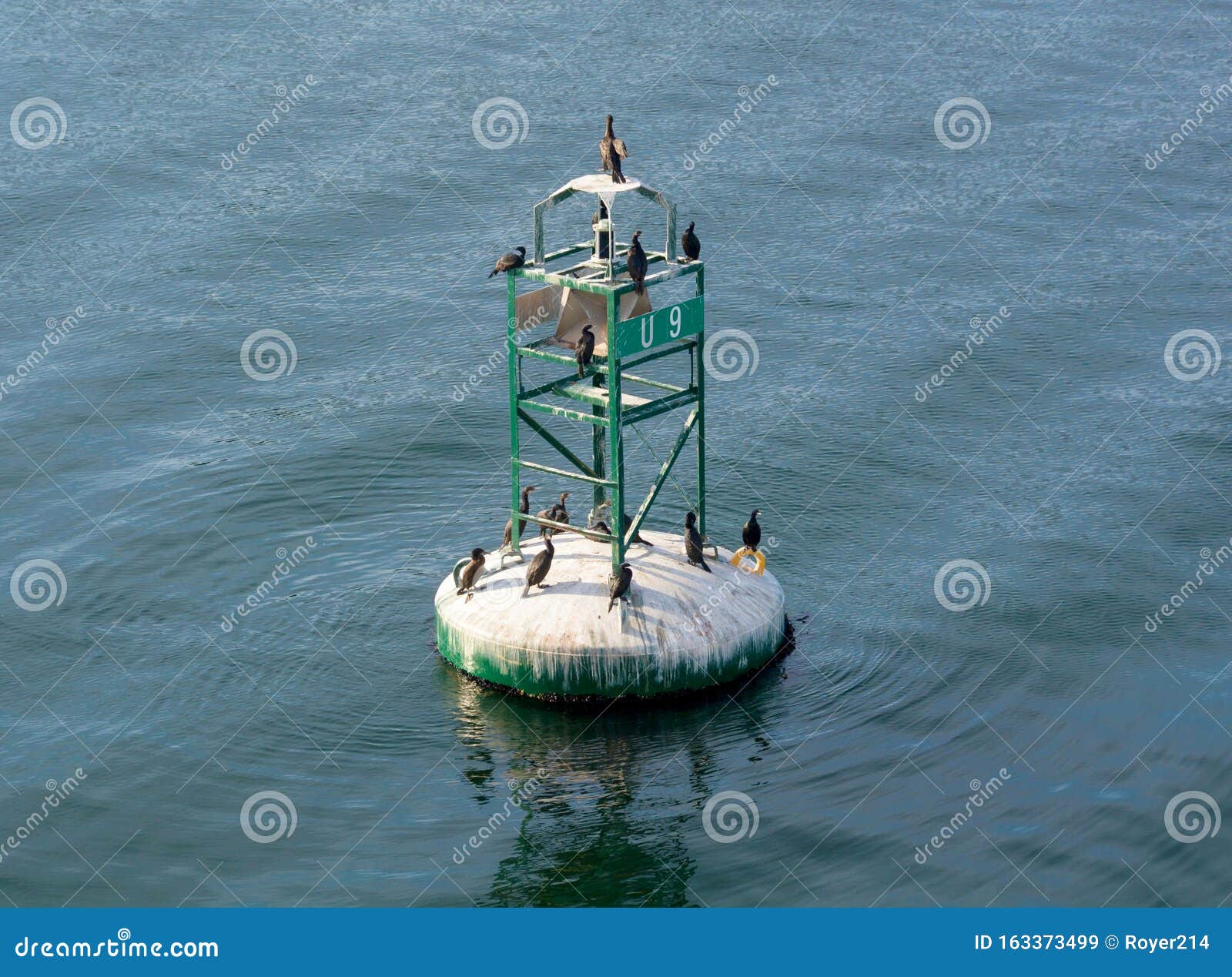 Sea Float with Gulls stock image. Image of gulls, water - 163373499