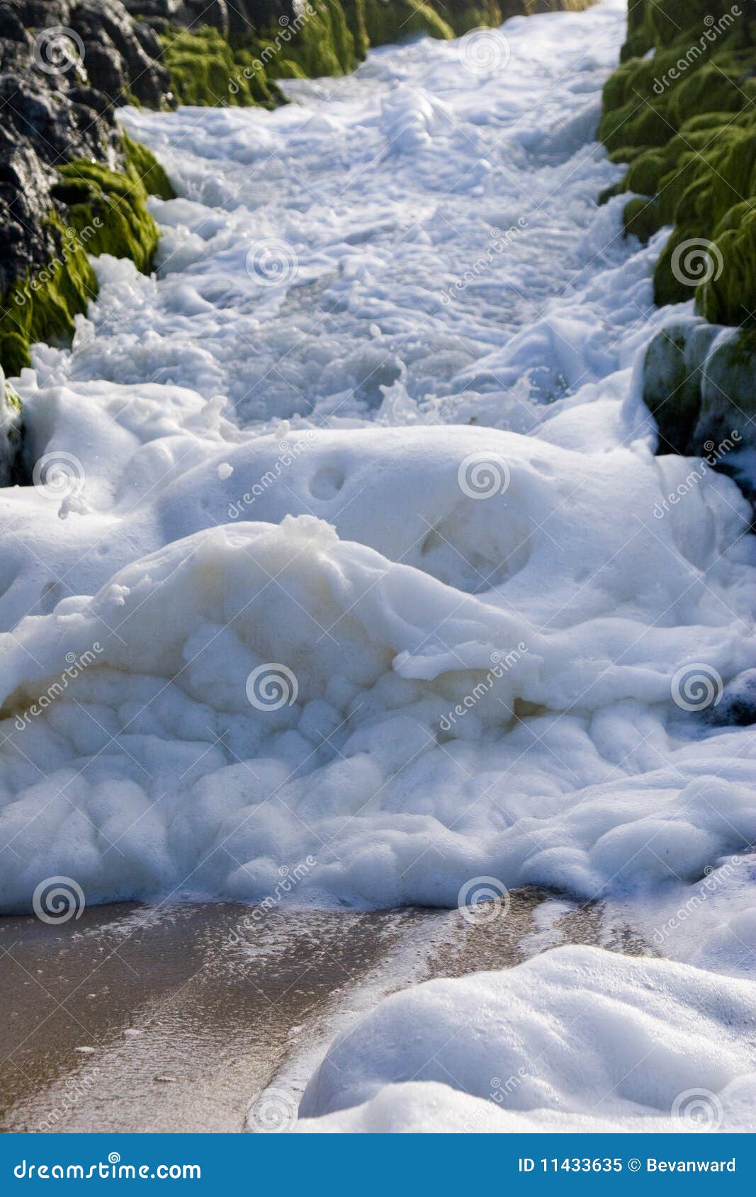 Sea foam stock image. Image of green, granite, algae - 11433635