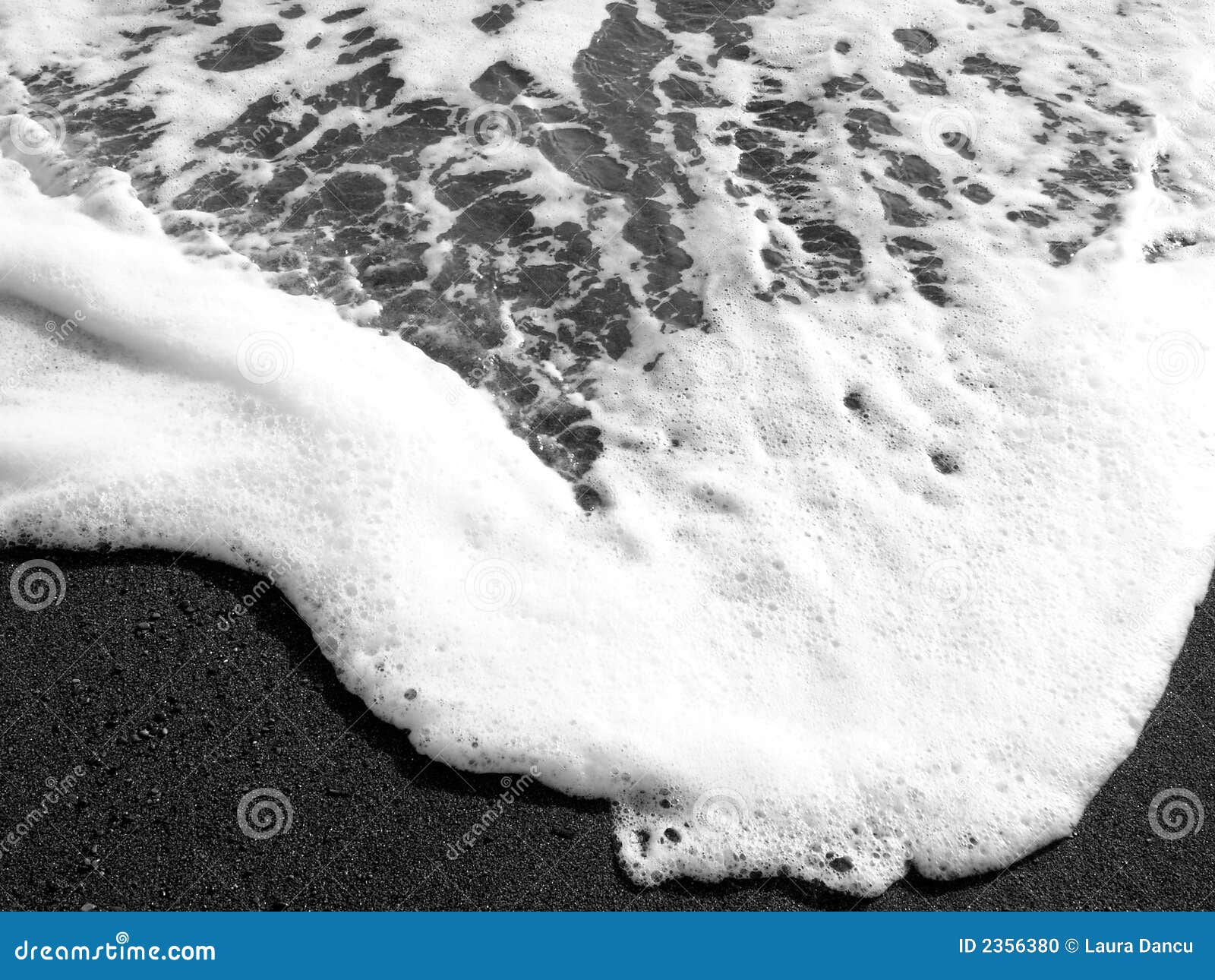 Sea foam stock photo. Image of white, beach, black, holiday - 2356380