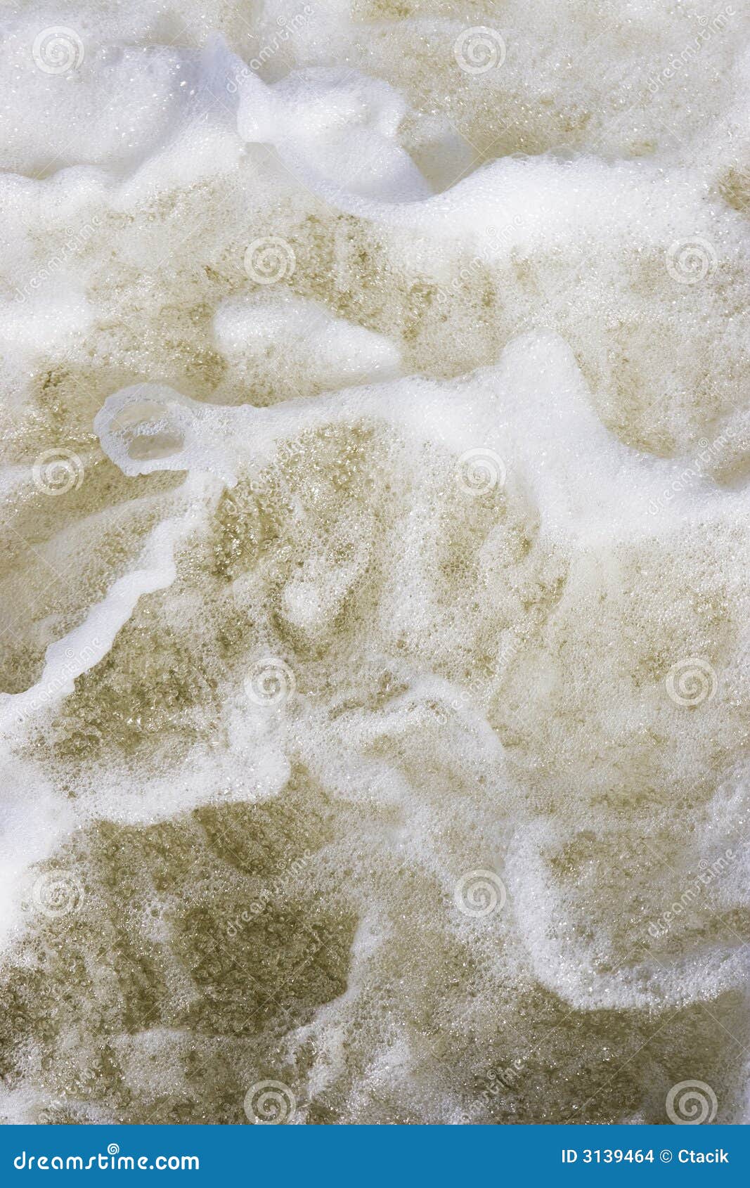Sea foam stock photo. Image of gigantic, nature, seascape - 3139464