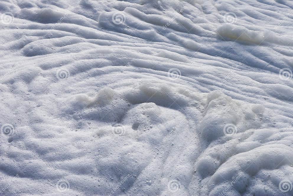 Sea foam pollution stock image. Image of algae, crash - 11433311