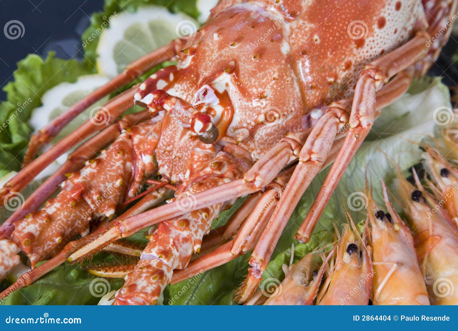 Sea food stock photo. Image of pacific, beach, nutrition - 2864404