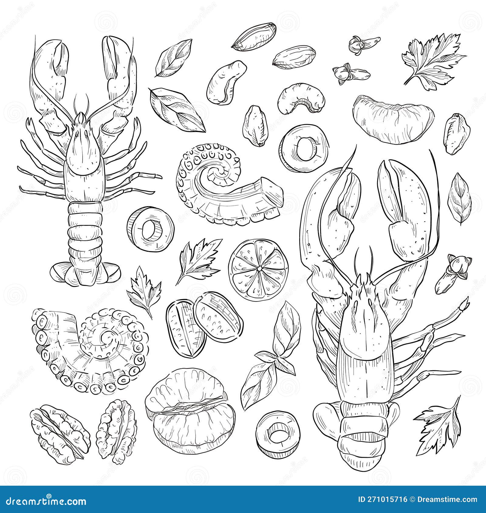 Sea Food Collection, Hand Drawn Elements Stock Vector - Illustration of ... Sea Food Collection, Hand Drawn Elements Stock Vector - Illustration of ...