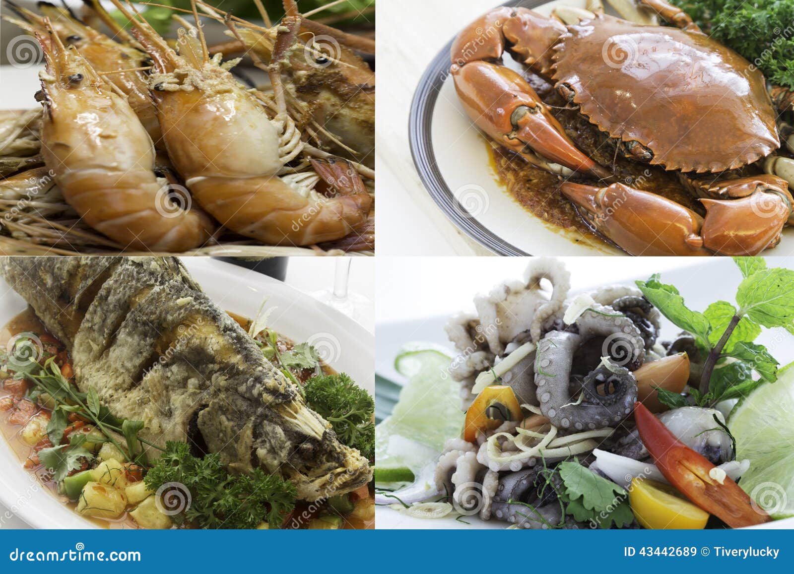 Sea food stock image. Image of fish, shrimp, snack, asian - 43442689