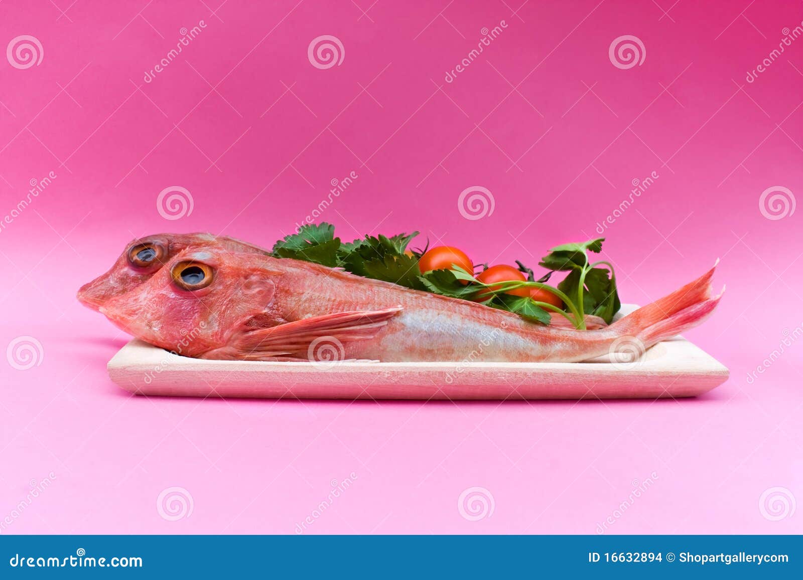 Sea Food - Red Gurnard Fish Stock Photo - Image of tasty, gurnard: 16632894