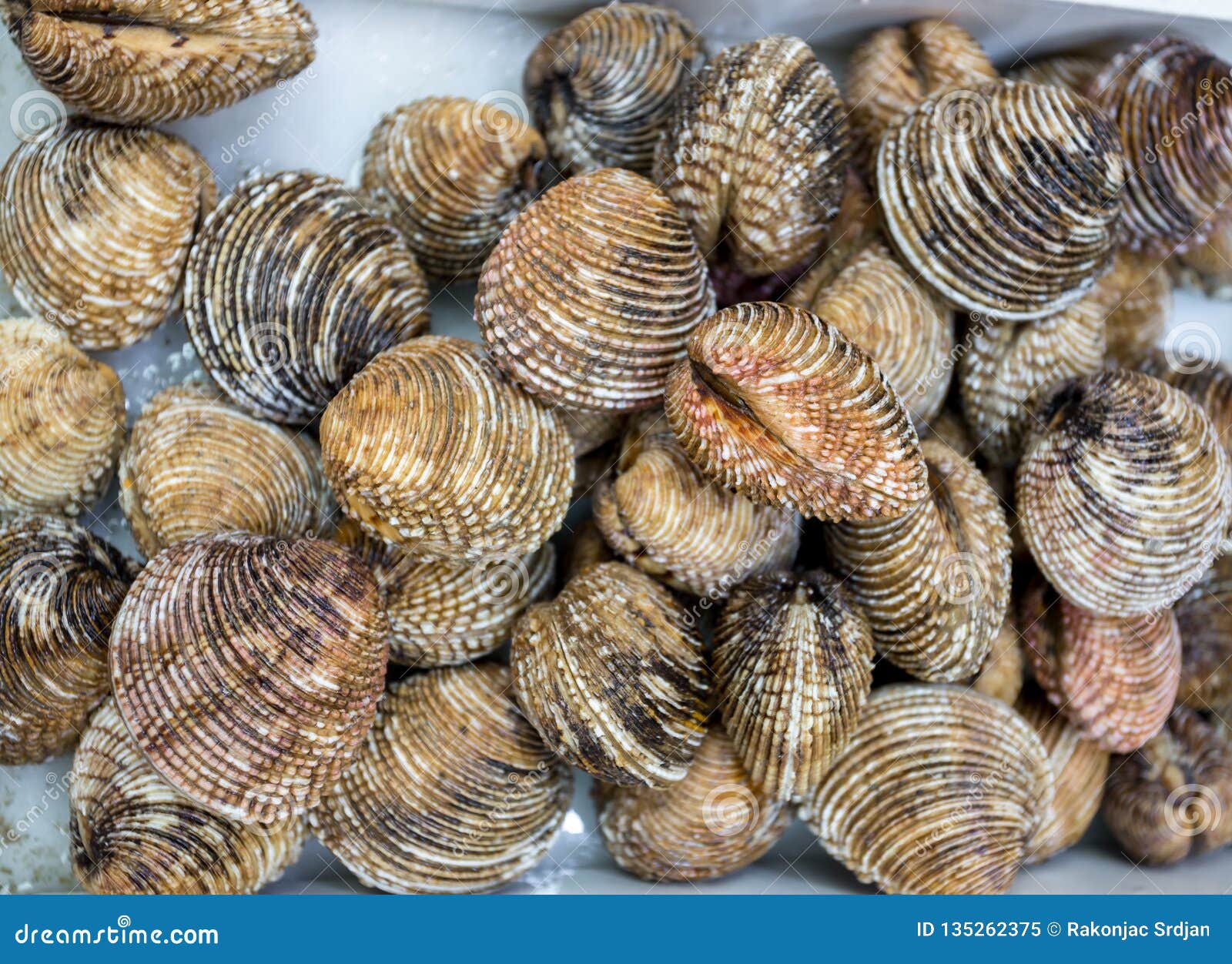 Sea shells in the market stock image. Image of mussels - 135262375