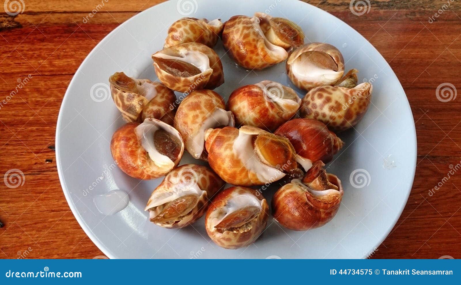 Sea food stock image. Image of party, snails, food, dinner - 44734575