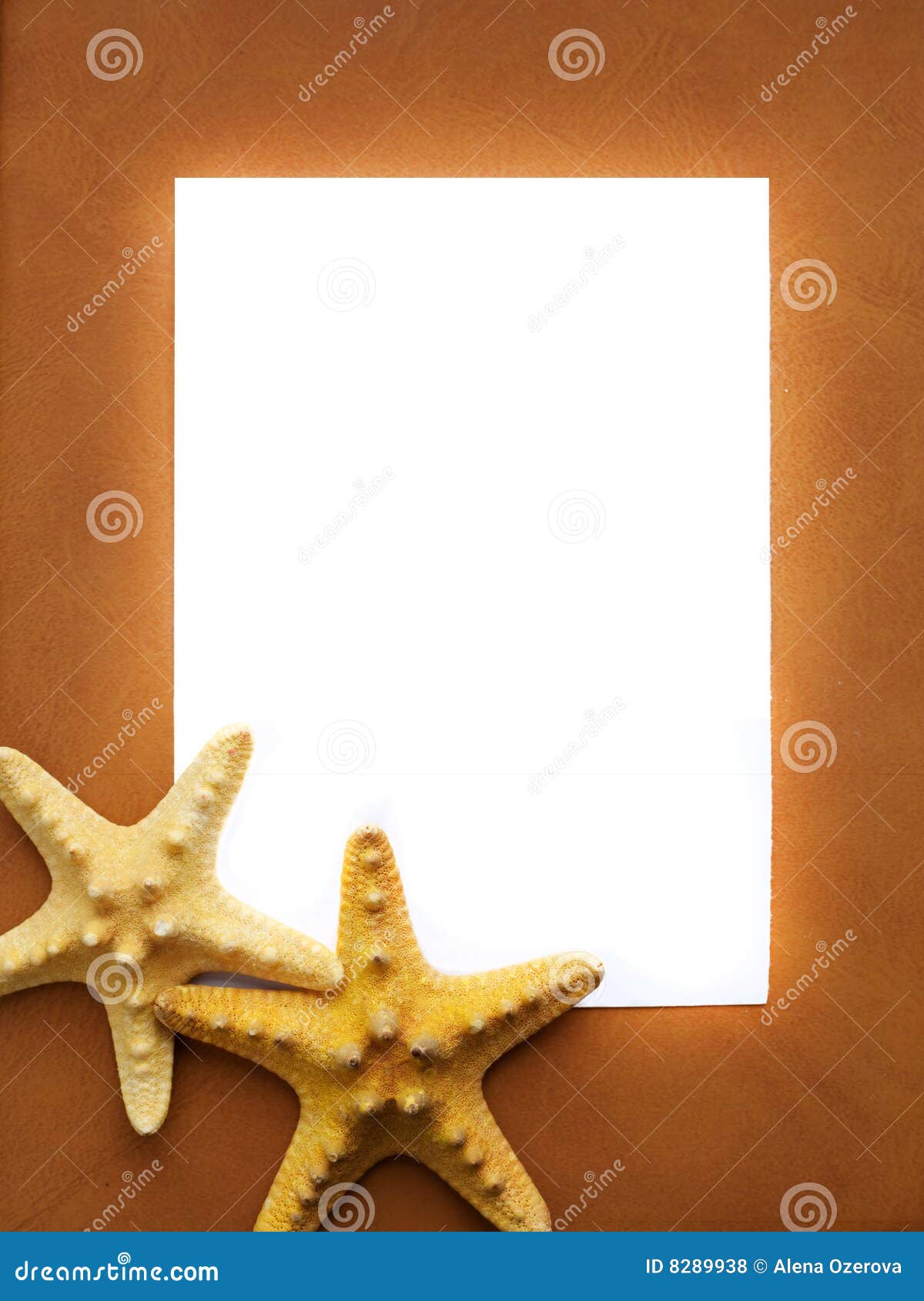 Sea frame stock photo. Image of concepts, postcard, frame - 8289938