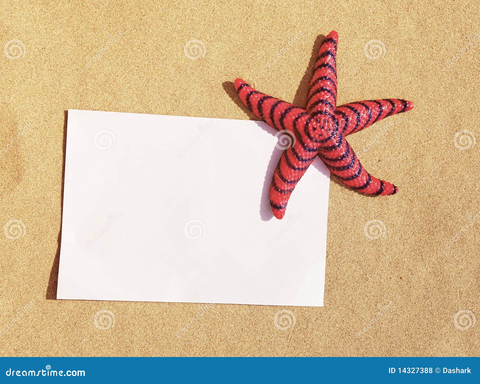 Sea frame with starfishes stock photo. Image of keywords - 14327388