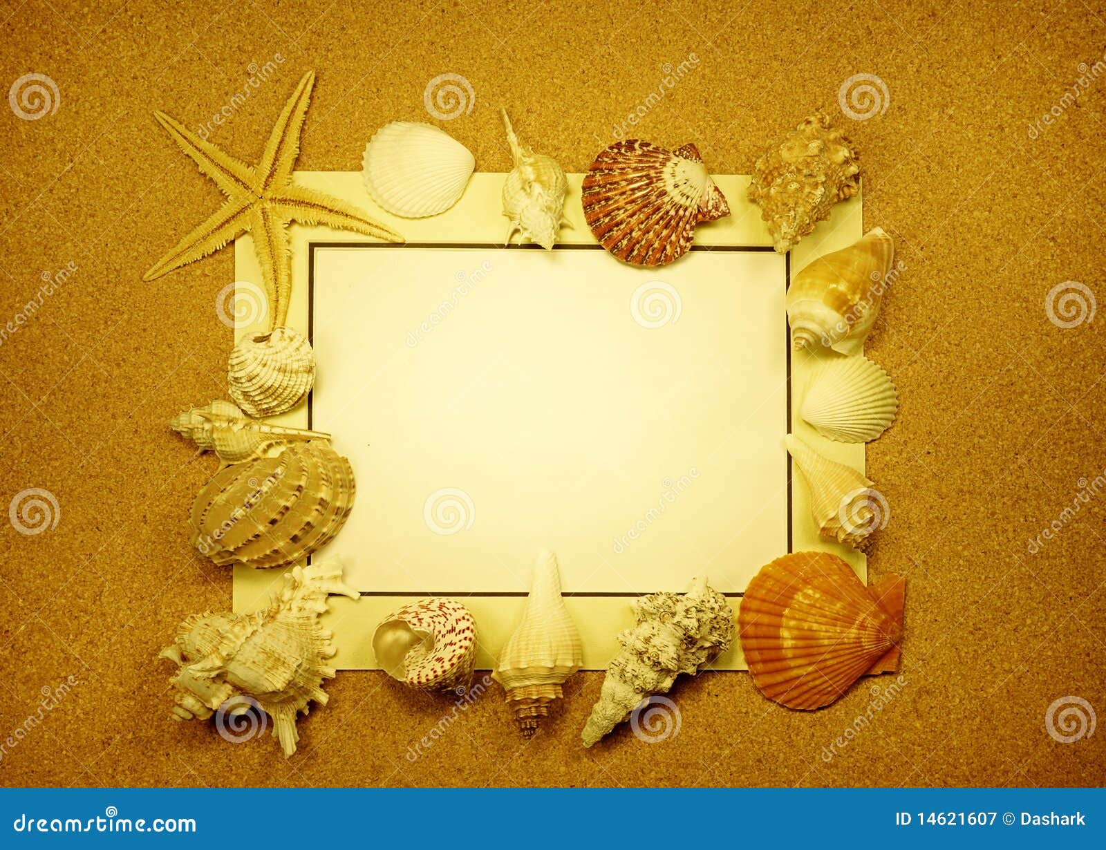 Sea frame with starfishes stock image. Image of empty - 14621607