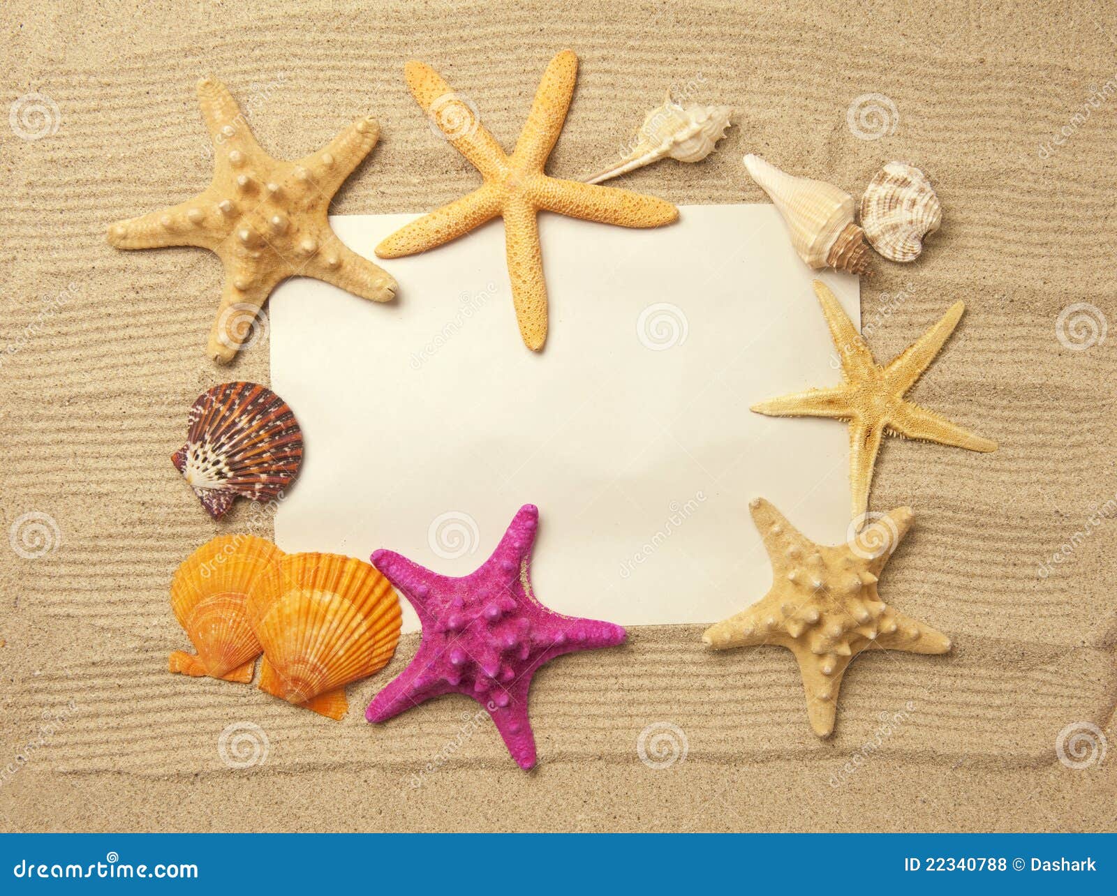 Sea frame with starfishes stock photo. Image of document - 22340788