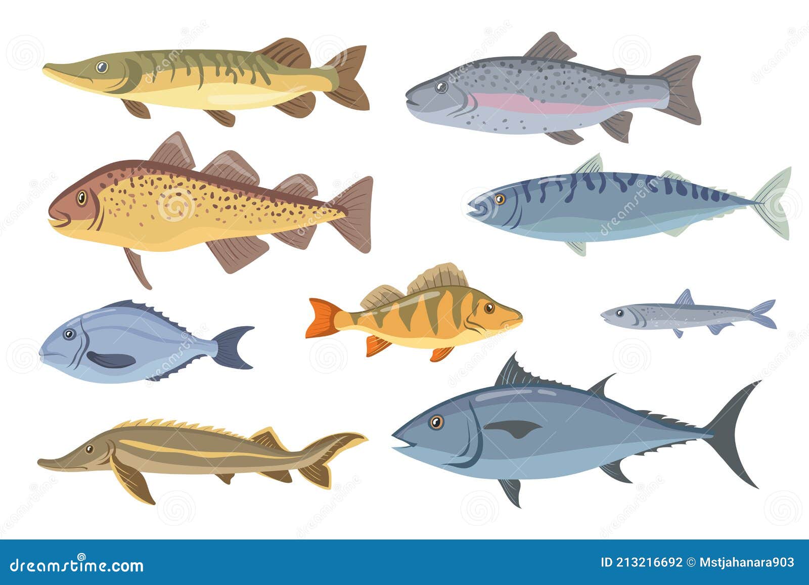 Tilapia Freshwater Fish, Fresh Aquatic Fish Species Cartoon Vector ... Tilapia Freshwater Fish, Fresh Aquatic Fish Species Cartoon Vector ...
