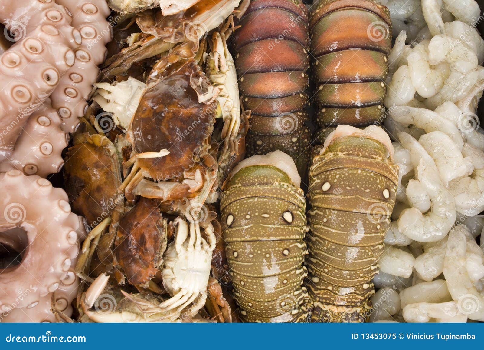 Sea Fruits stock image. Image of lobster, uncooked, food - 13453075