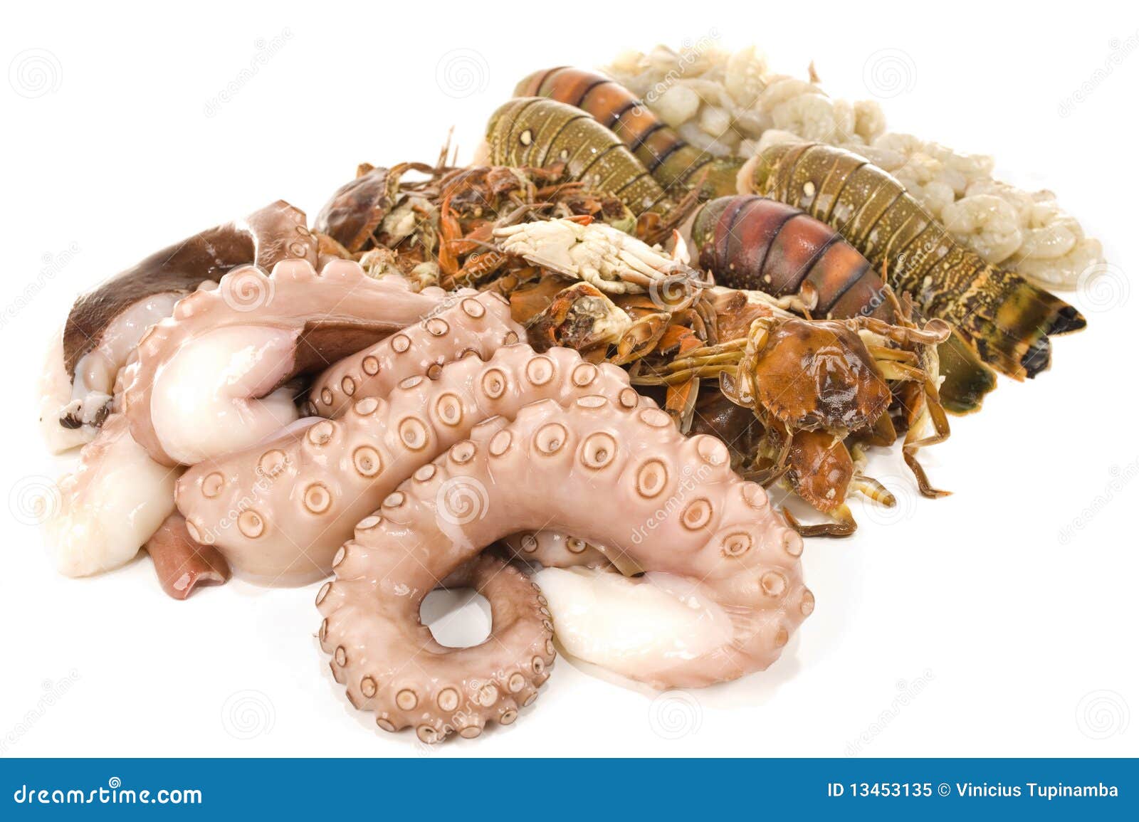 Sea Fruits stock image. Image of fish, shellfish, seafruits - 13453135