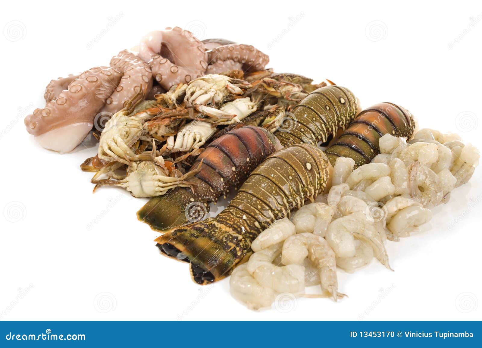 Sea Fruits stock photo. Image of market, tentacles, seafruits - 13453170