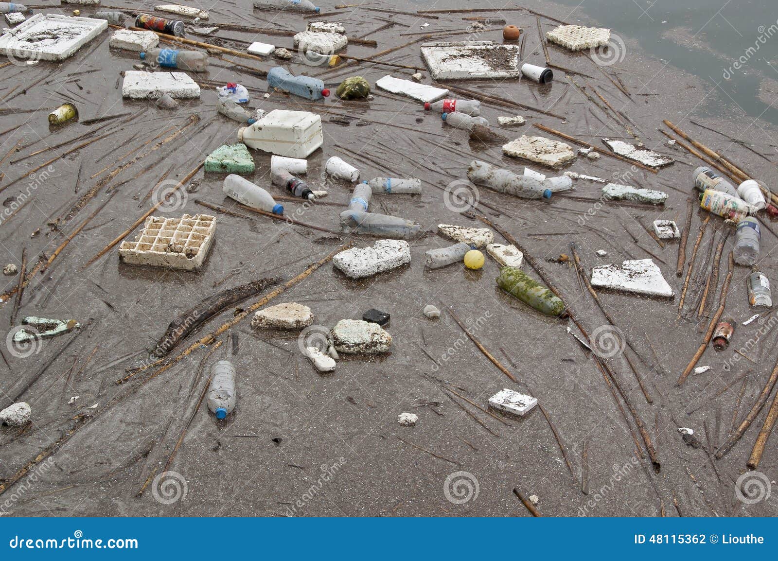 Sea garbage stock photo. Image of green, bottle, polluted - 48115362