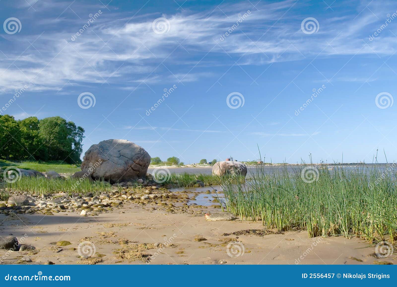 Sea, grass and a blue sky stock image. Image of tree, cape - 2556457