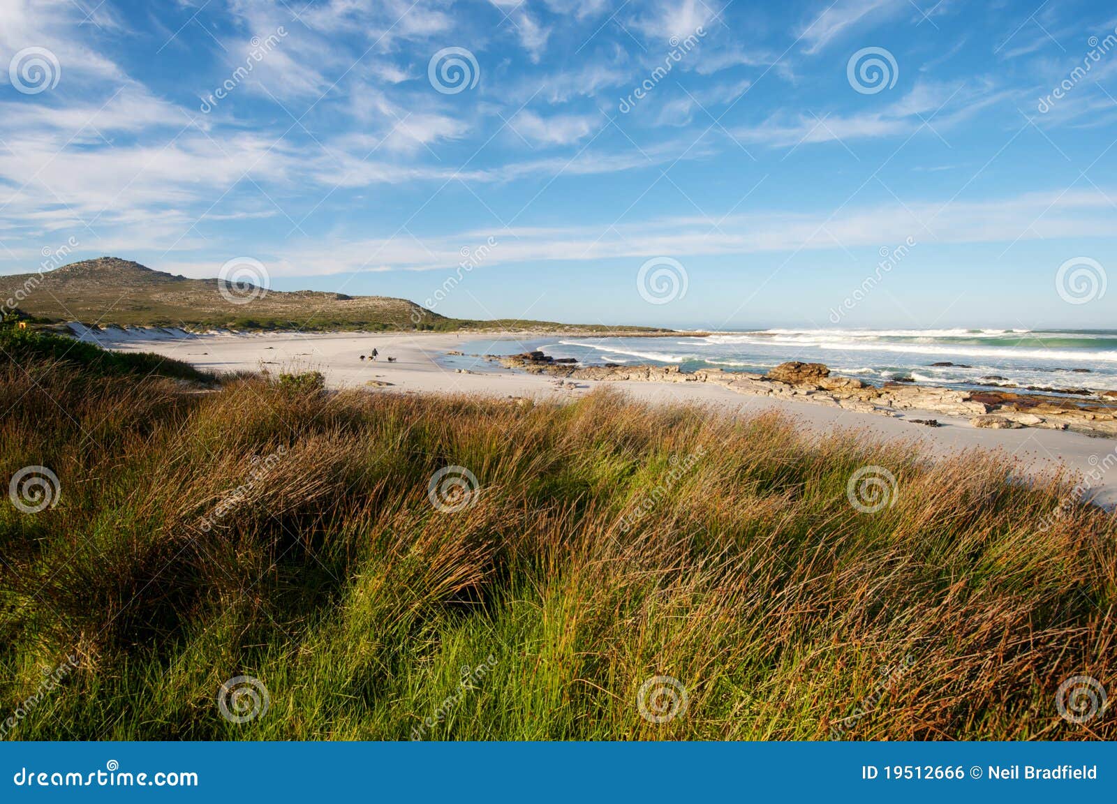 Sea Grass Coastline South Africa Stock Photo - Image of scarborough ...