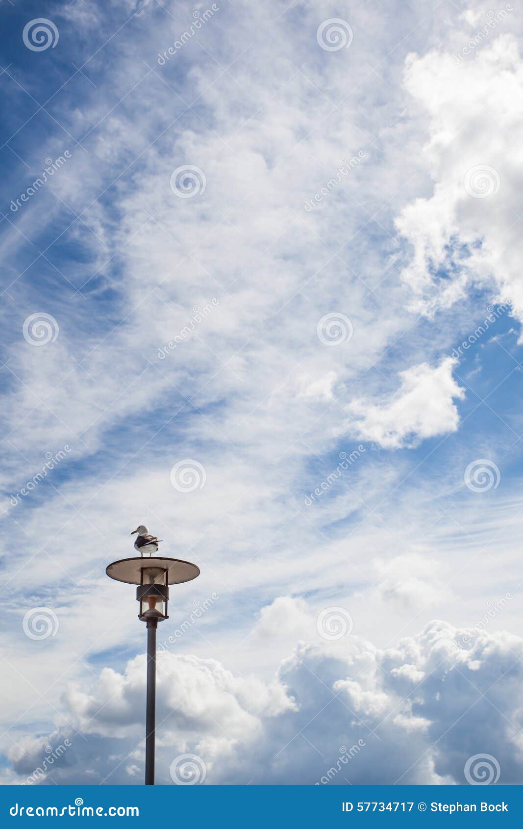 Sea Gull Sitting on a Lamp Post in Front of Cloudy Sky Stock Image ...
