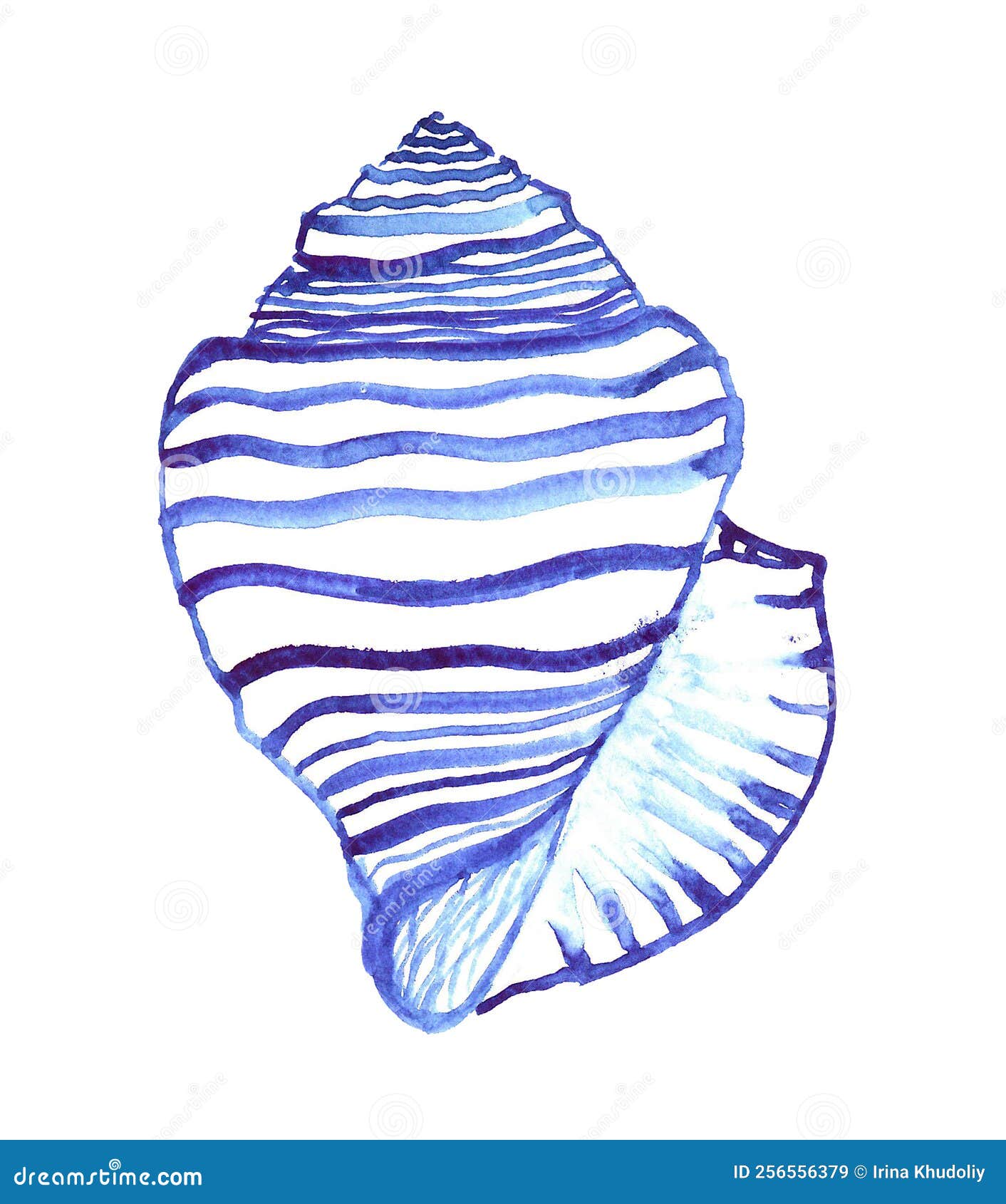 Hand drawn sea shell stock illustration. Illustration of collection ...