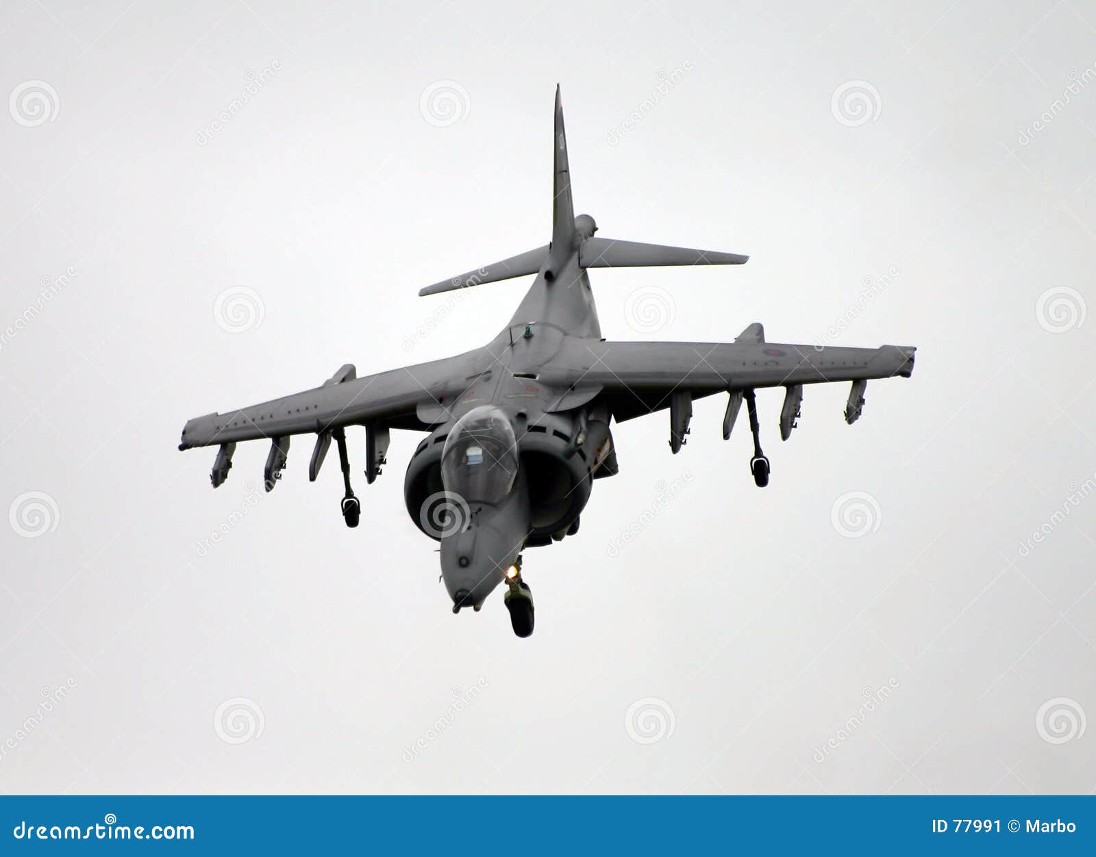 Sea harrier jet stock image. Image of pilot, harrier, royal - 77991