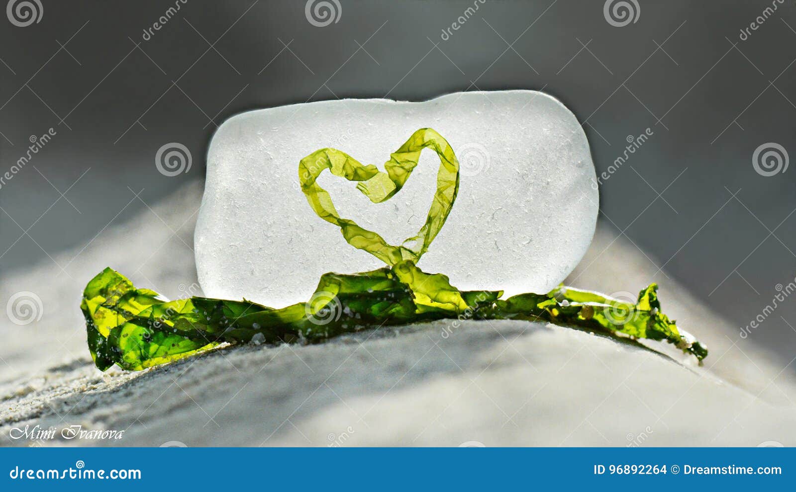 Sea Heart stock photo. Image of seaweed, heart, shadows - 96892264