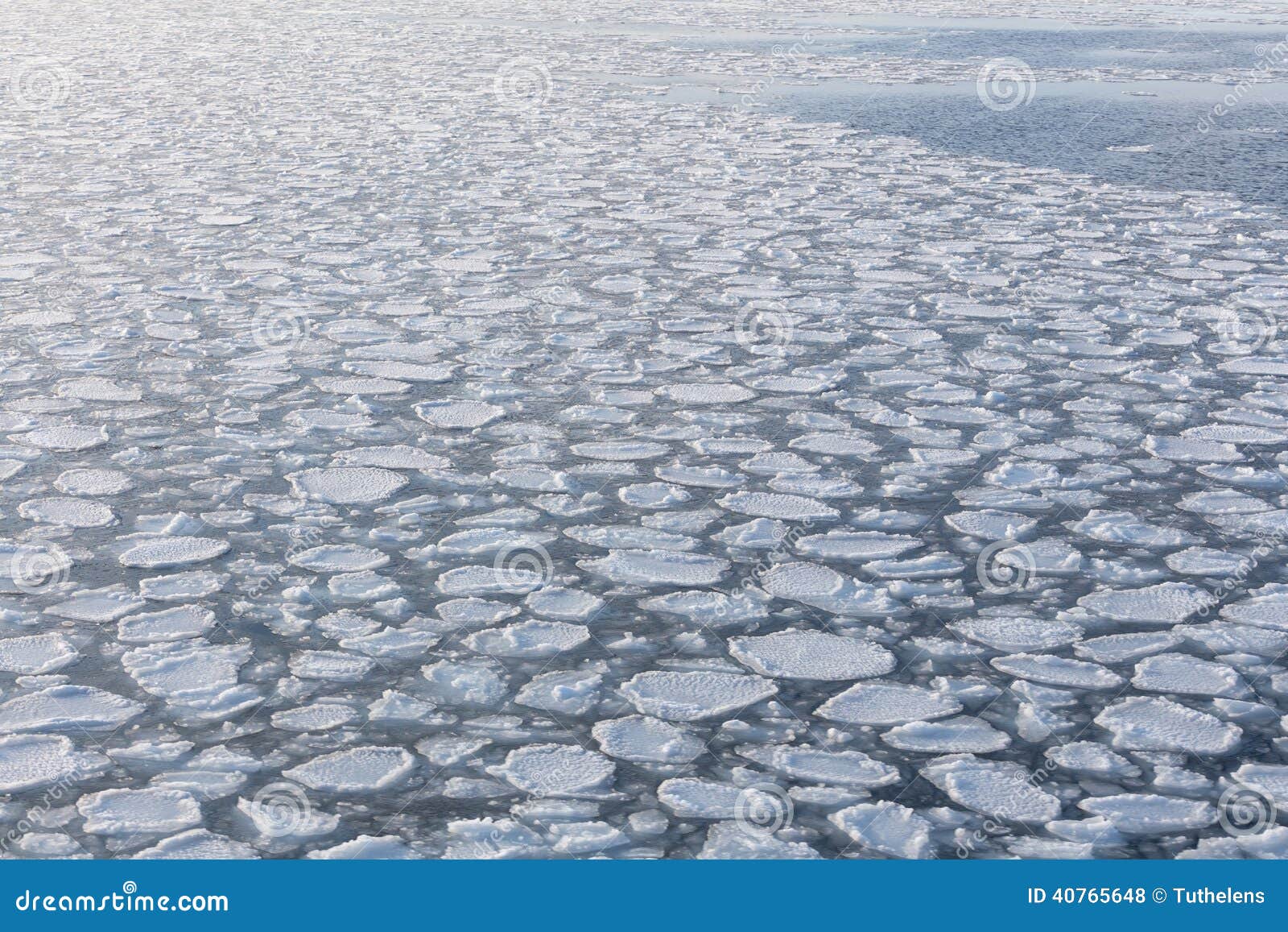 Sea ice edge stock photo. Image of environment, glacial - 40765648