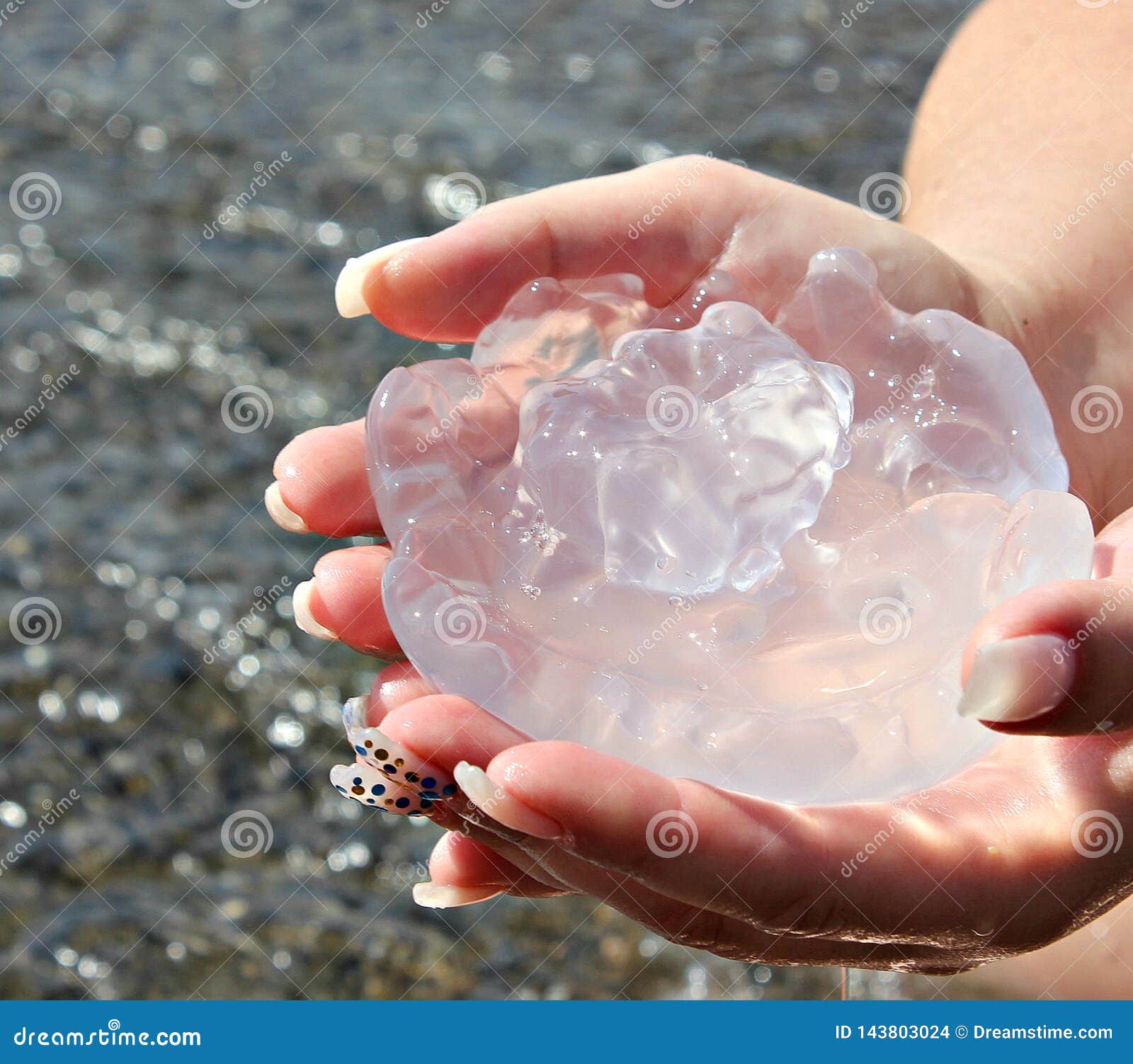 Sea Jellyfish Caught by the Sea Stock Photo - Image of love, hands ...