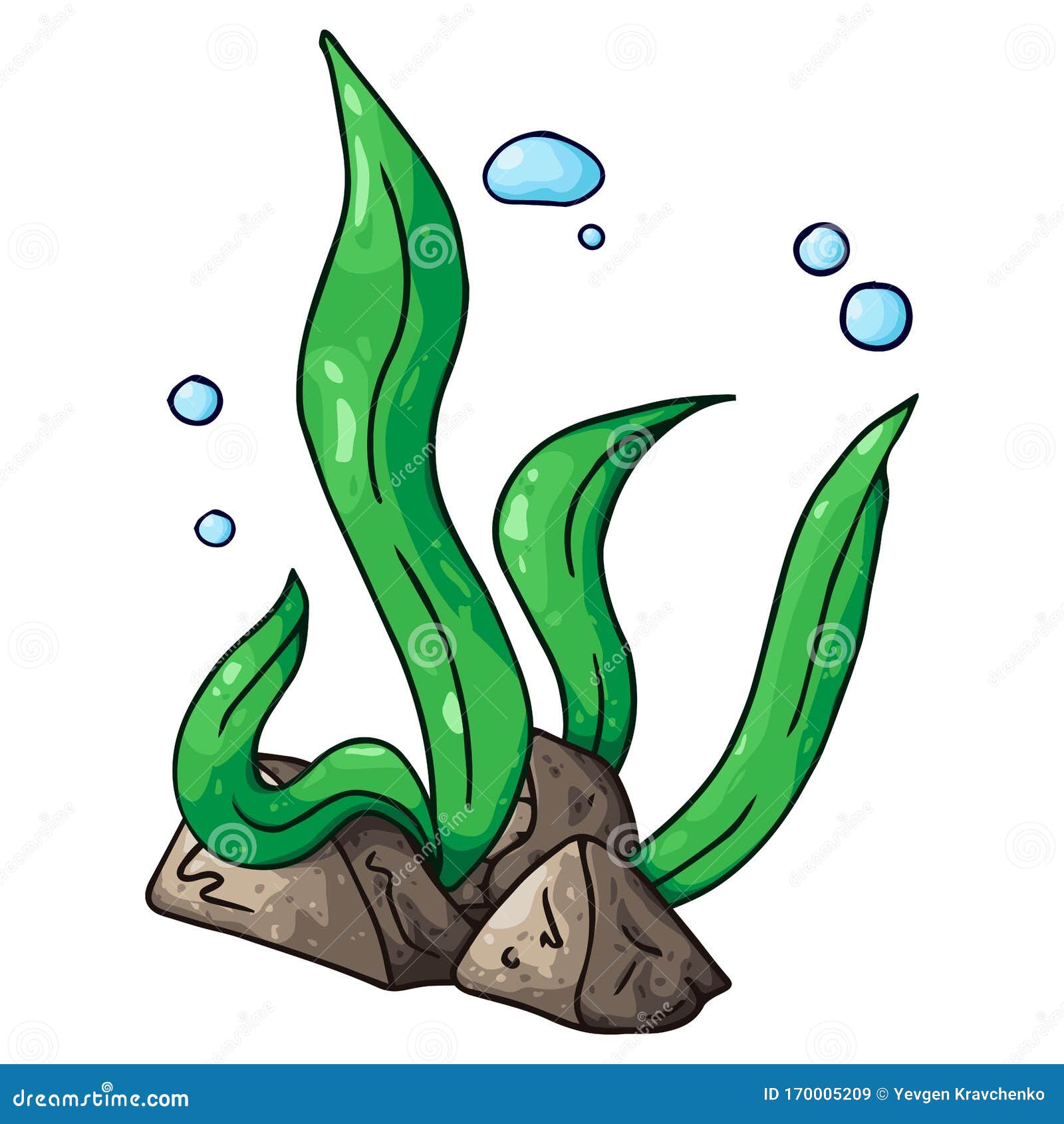 Sea Kale. Vector Of Algae. Hand Drawn Sea Kale, Seaweed | CartoonDealer ...