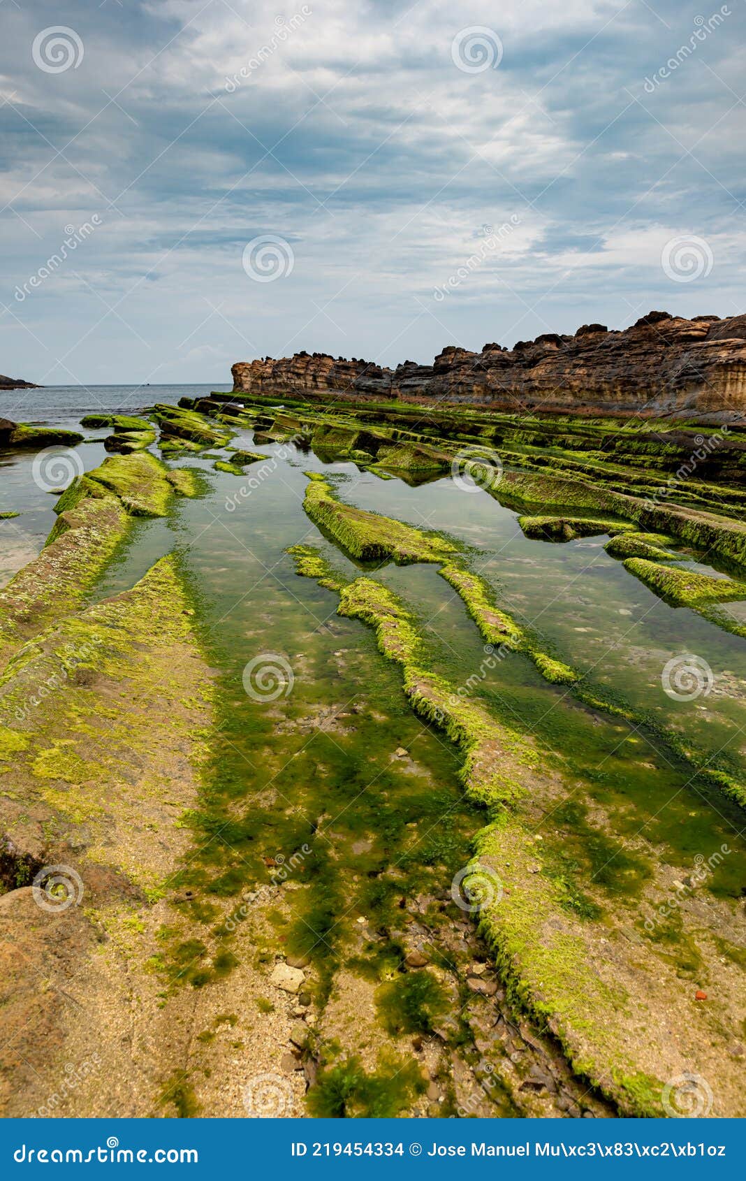 Sea Landscape with Rocks and Greenery Stock Photo - Image of outdoors ...