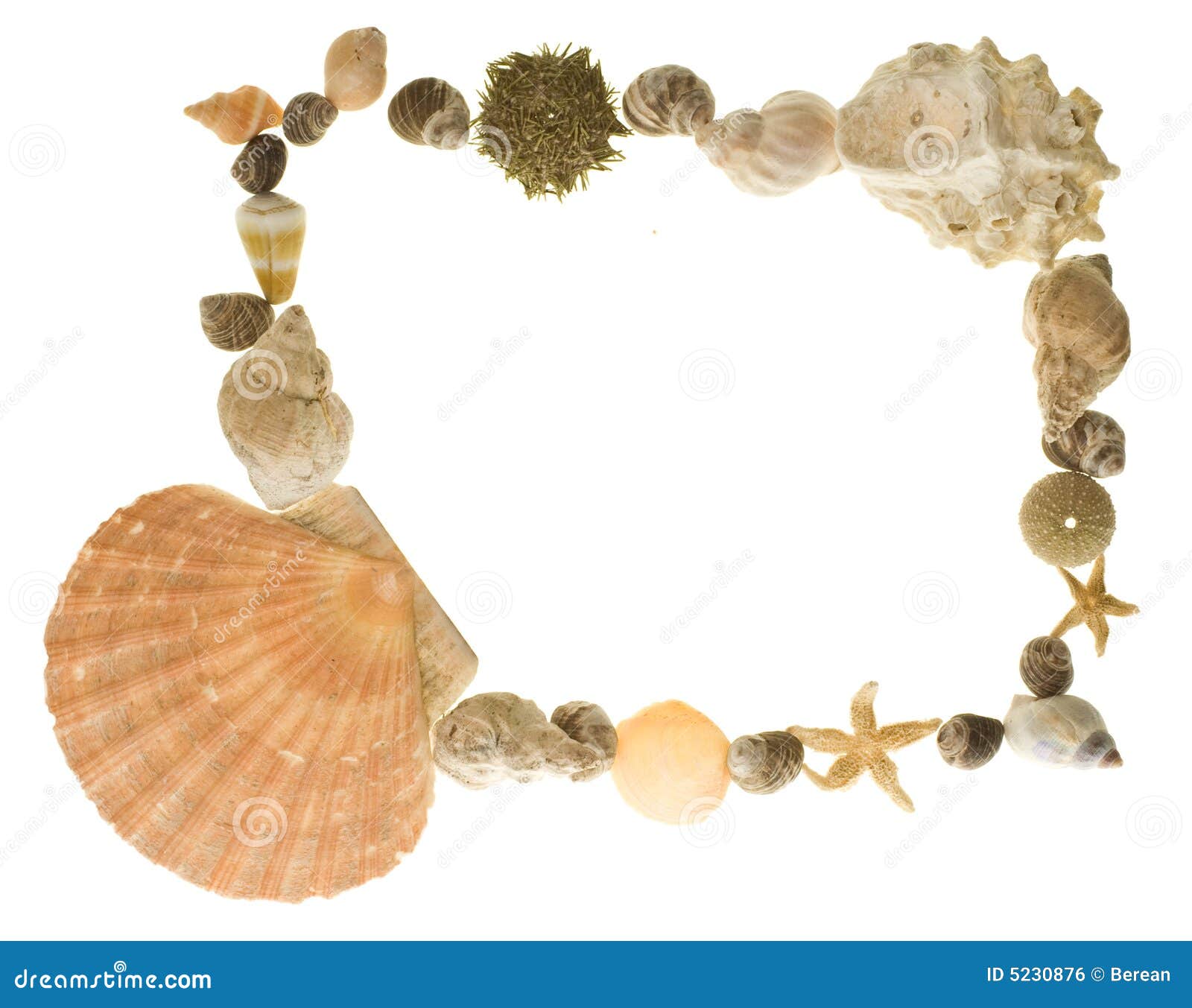 Sea life border stock photo. Image of beach, atlantic - 5230876