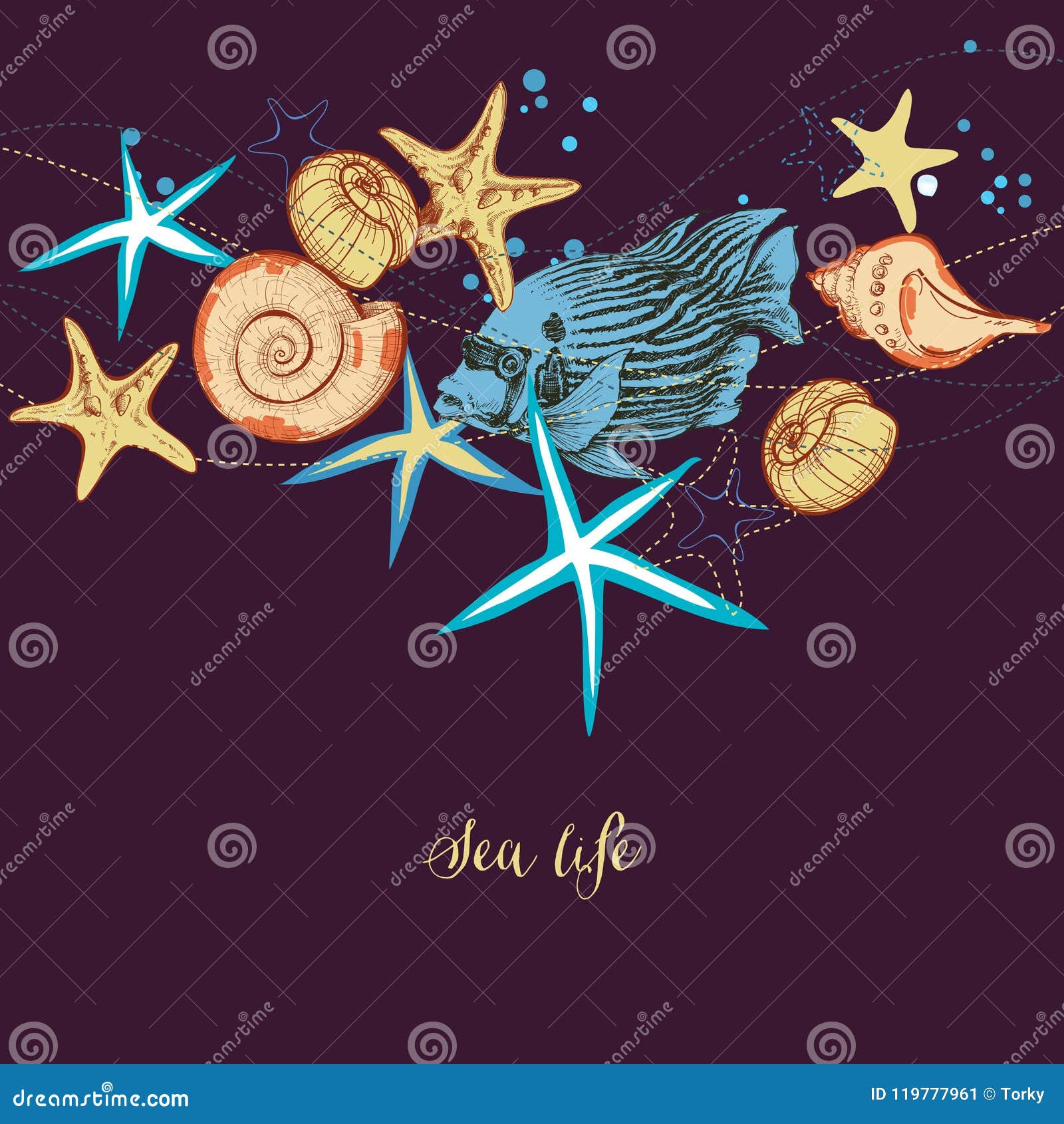 Sea life background stock vector. Illustration of shell - 119777961