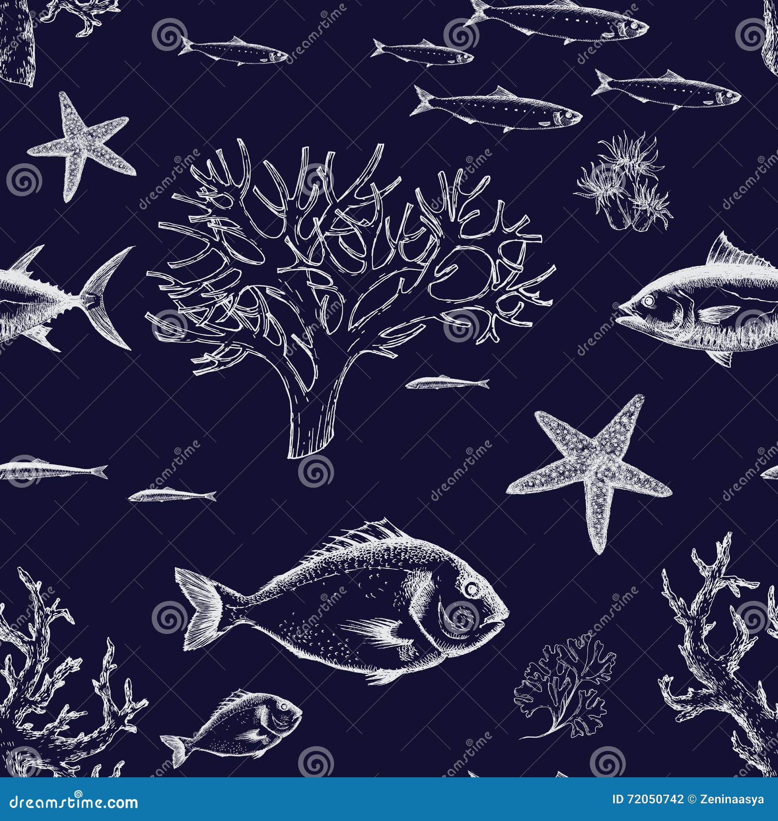 Sea life pattern stock vector. Illustration of life, isolated - 72050742