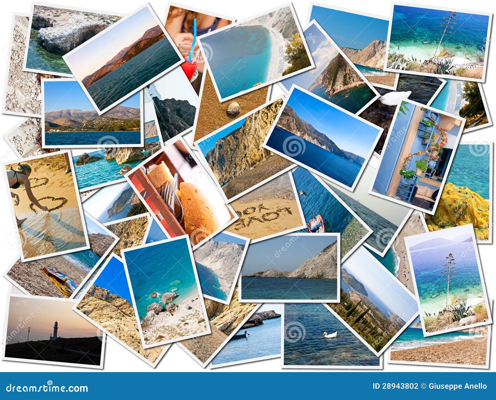 Sea life photo collage stock photo. Image of shape, assemblage - 28943802