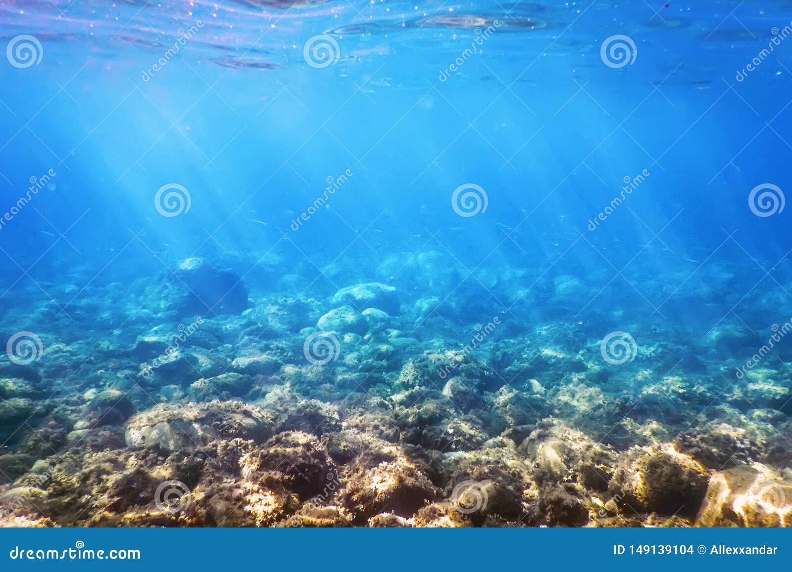 Underwater Rocks Texture Royalty-Free Stock Photo | CartoonDealer.com ...