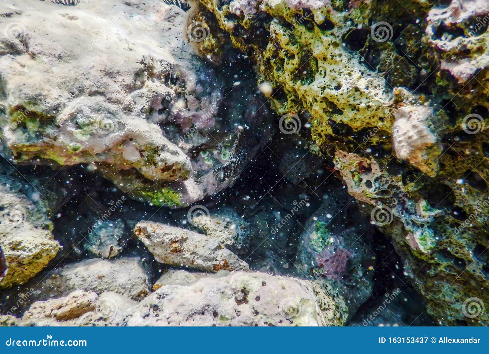 Underwater Rocks And Sand From Riviera Maya Royalty-Free Stock ...