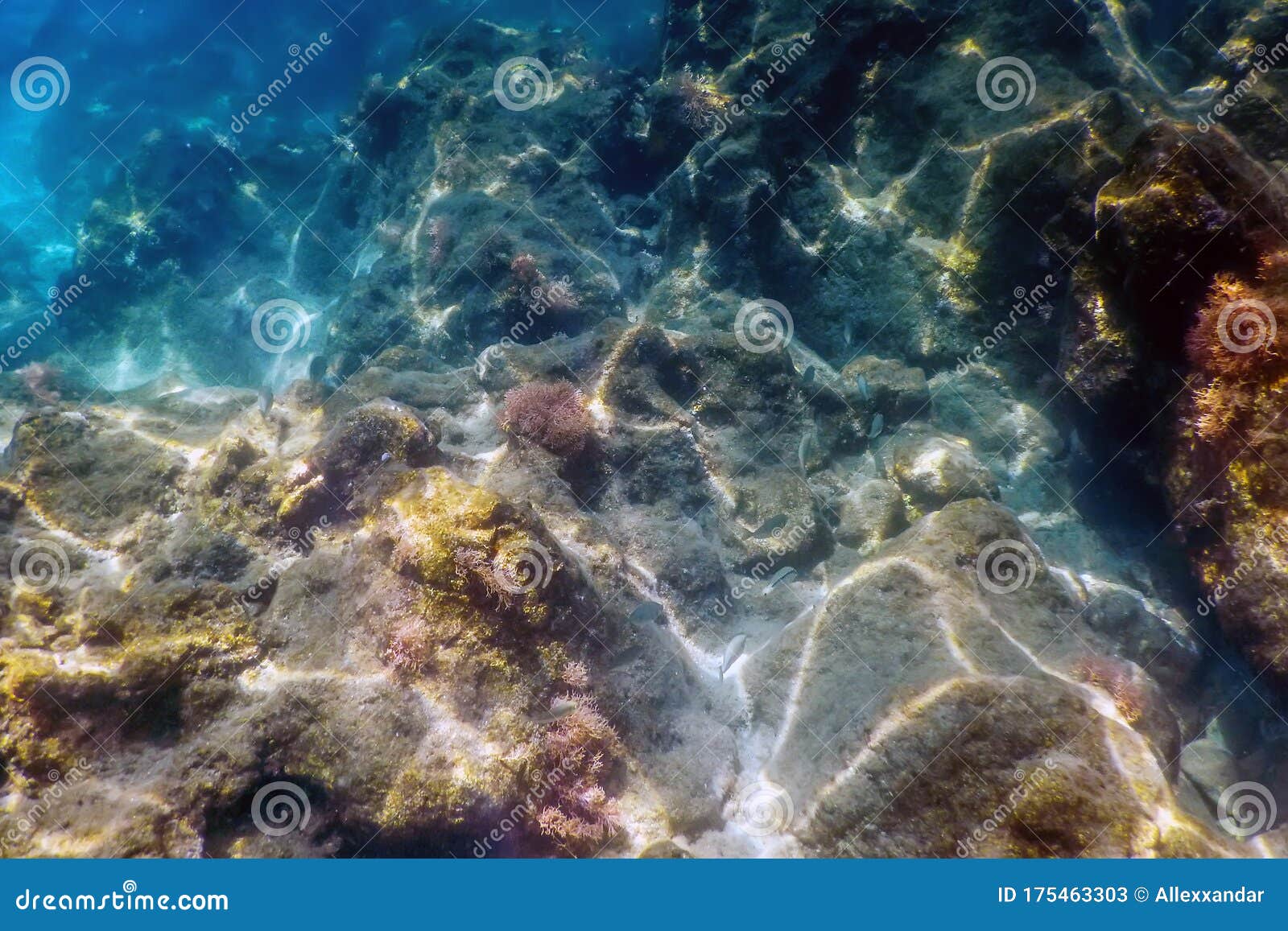 Underwater Rocks And Sand From Riviera Maya Royalty-Free Stock ...