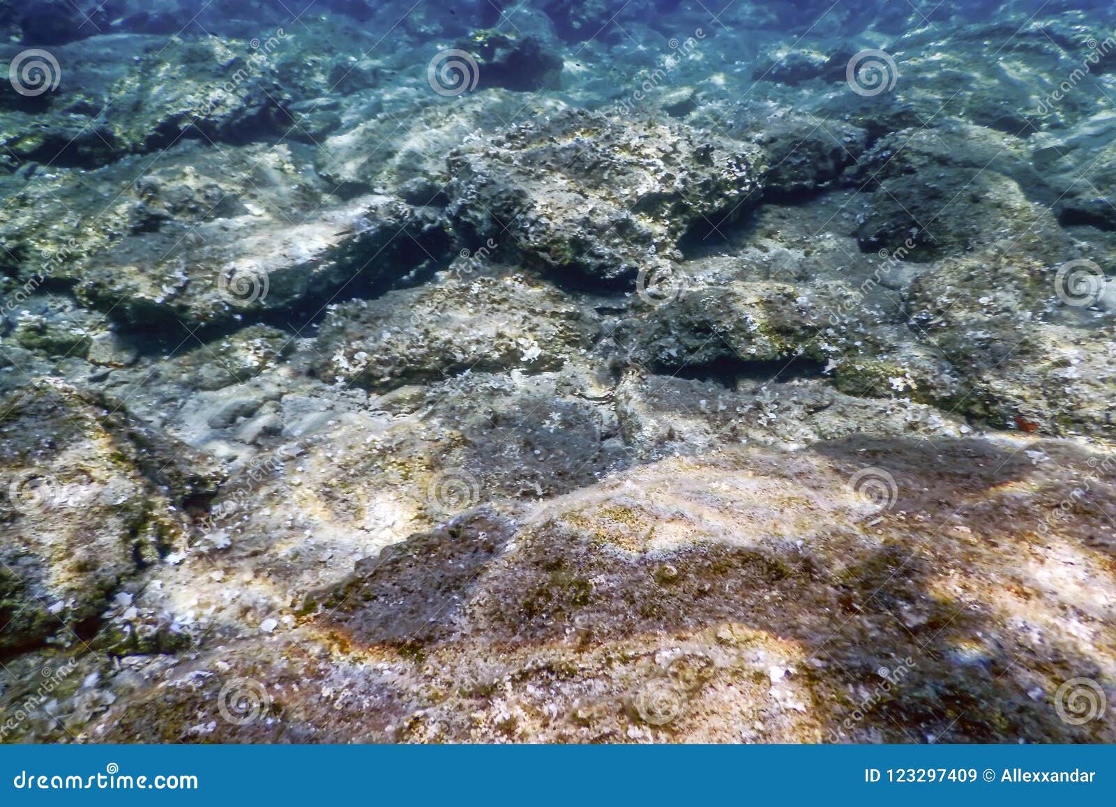 Sea Life Underwater Rocks Sunlight, Underwater Life. Stock Image ...