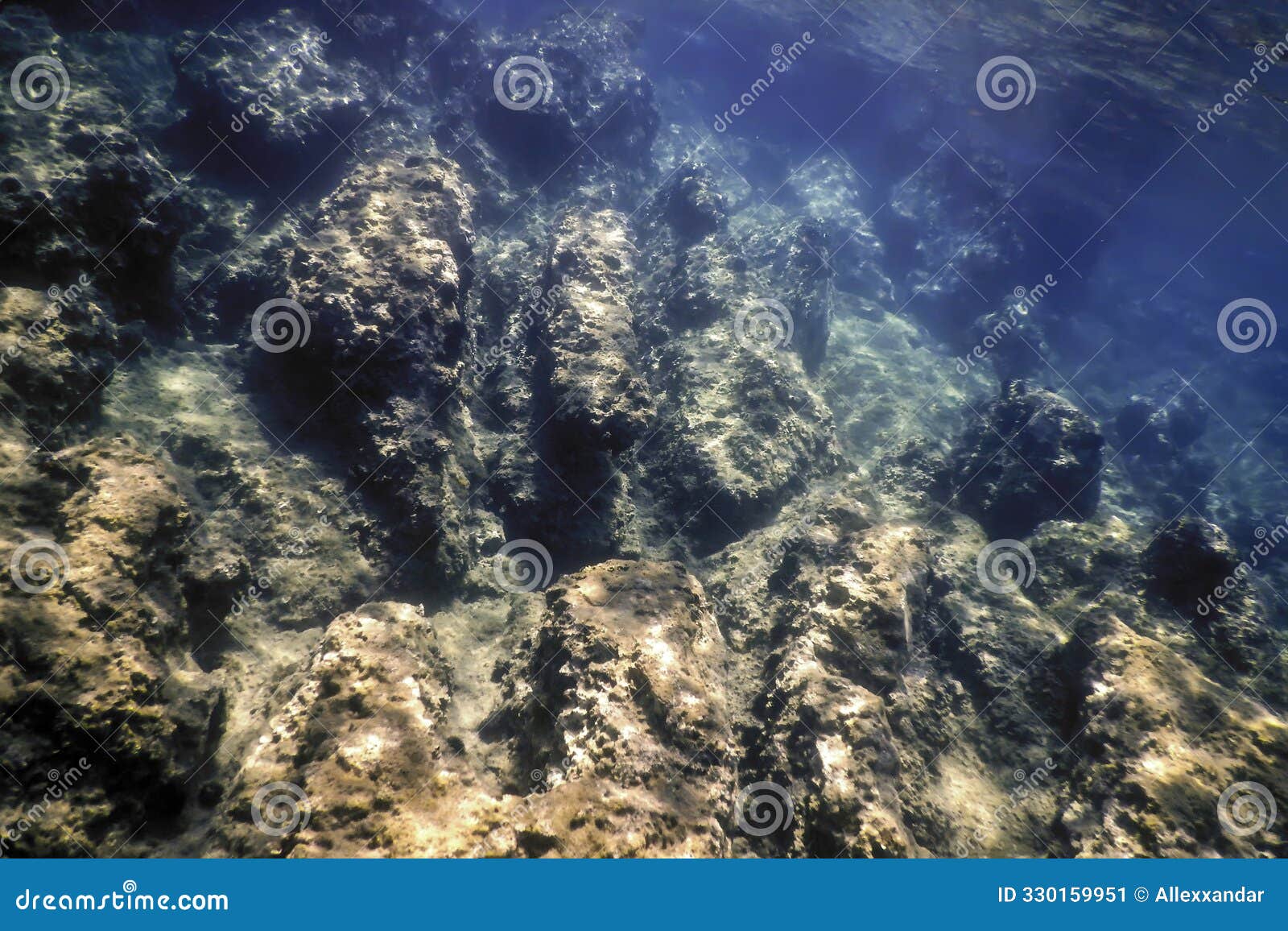 Sea Life Underwater Rocky Seabed Stock Image - Image of beauty, wild ...