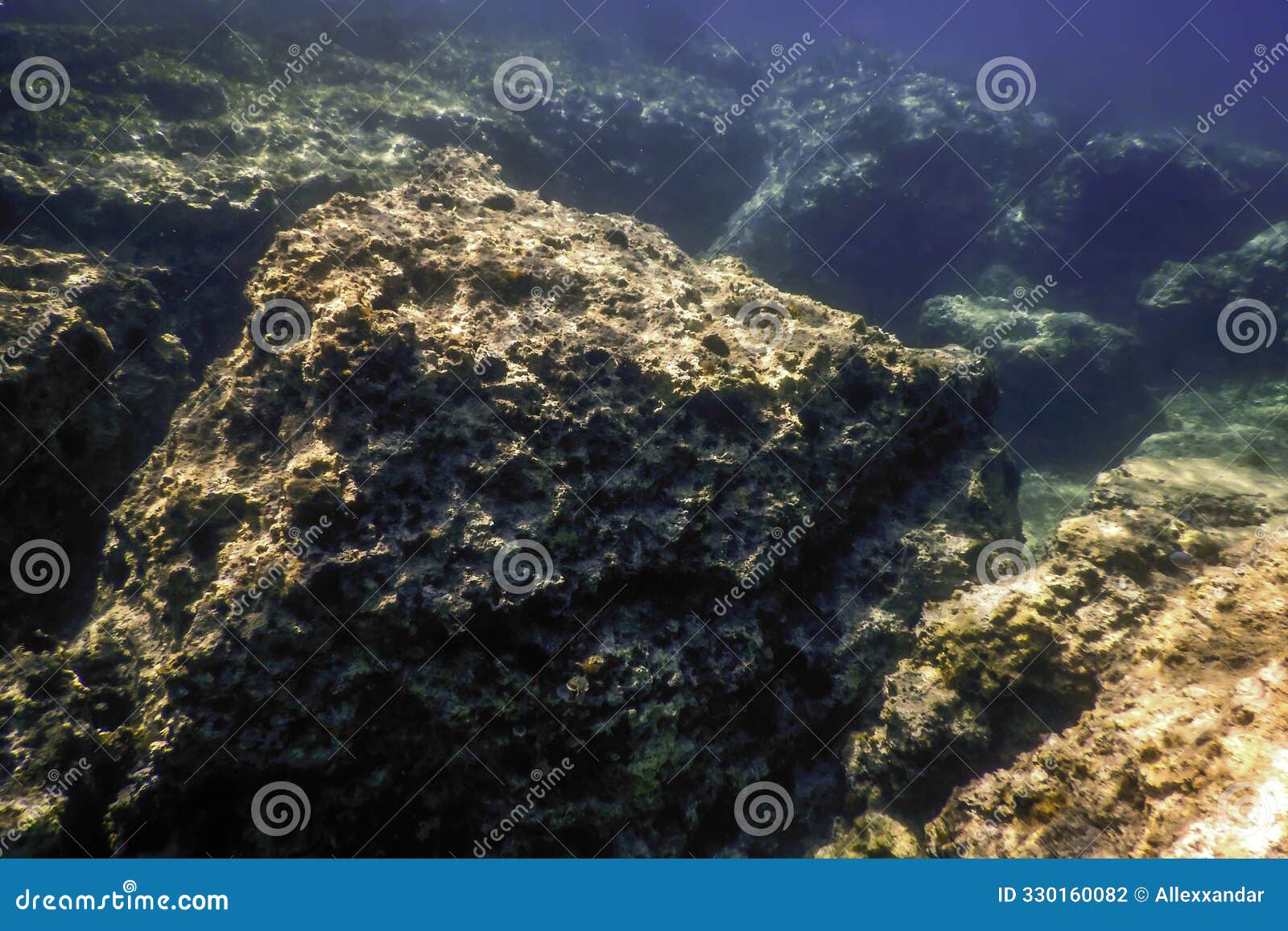 Sea Life Underwater Rocky Seabed Stock Photo - Image of saltwater ...