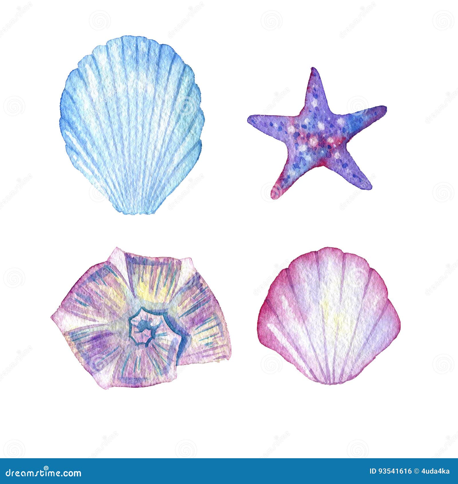 Watercolor Seashells Vector Illustration 55879710